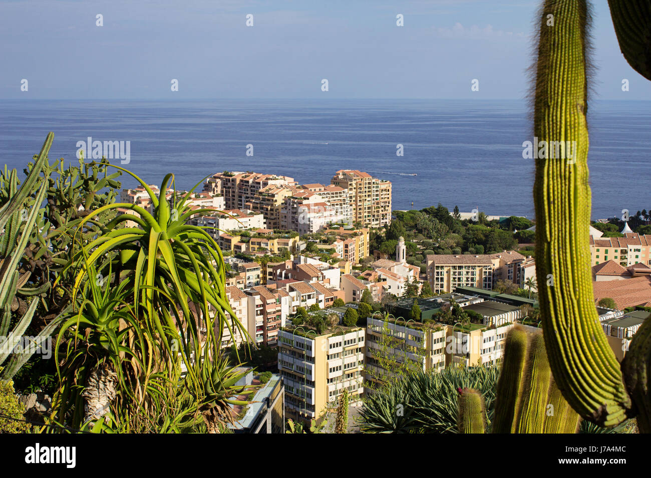 Exotic garden of Monaco, jardins exotique de Monaco: collection of ...