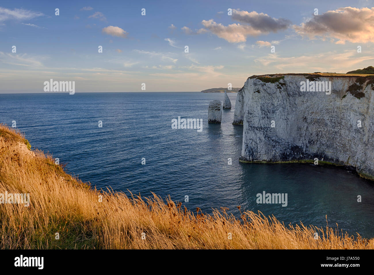 Old Harry Rocks, chalk cliffs and sea stacks. UNESCO World Heritage ...