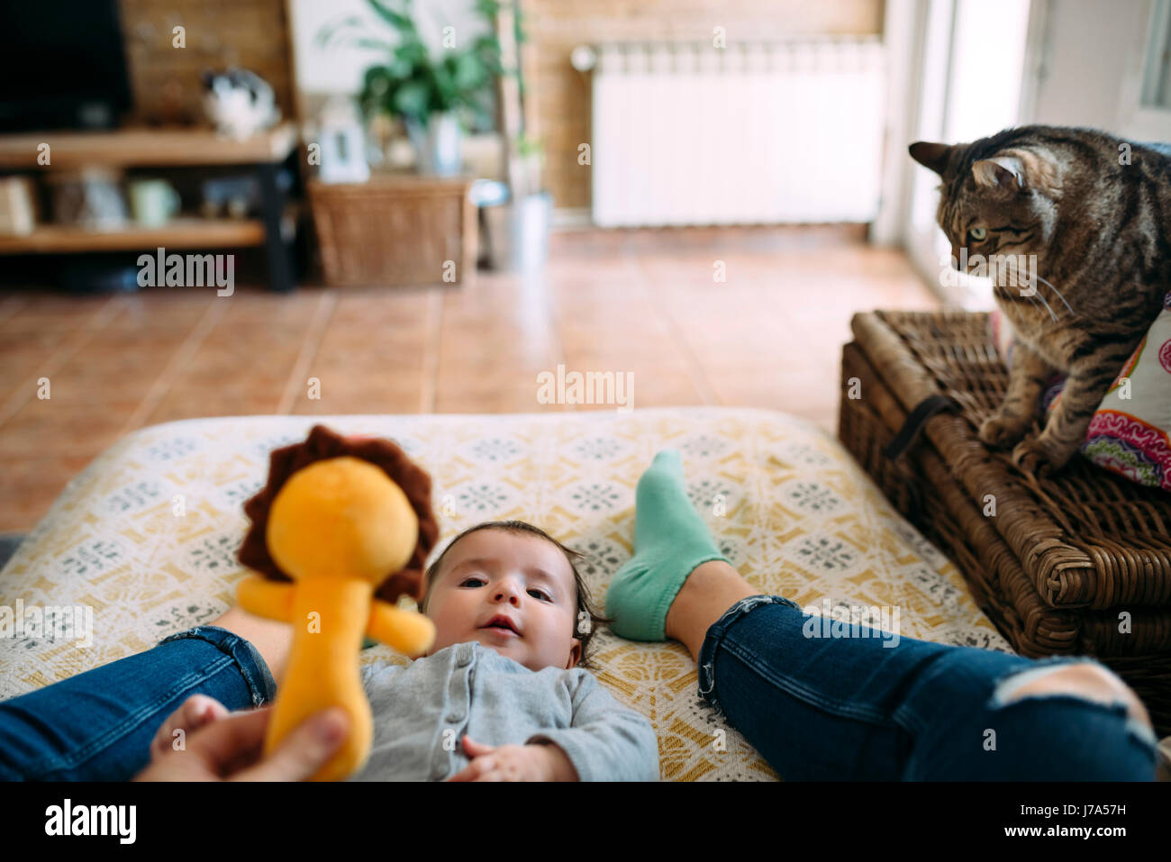 Mother playing with her baby daughter on couch with cats watching Stock ...