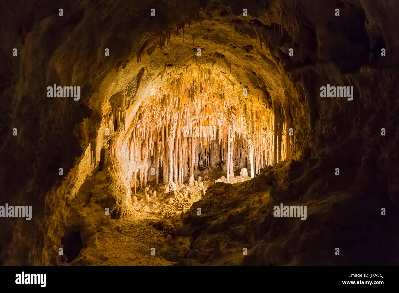 USA, New Mexico, Carlsbad Caverns, Big Room Stock Photo - Alamy