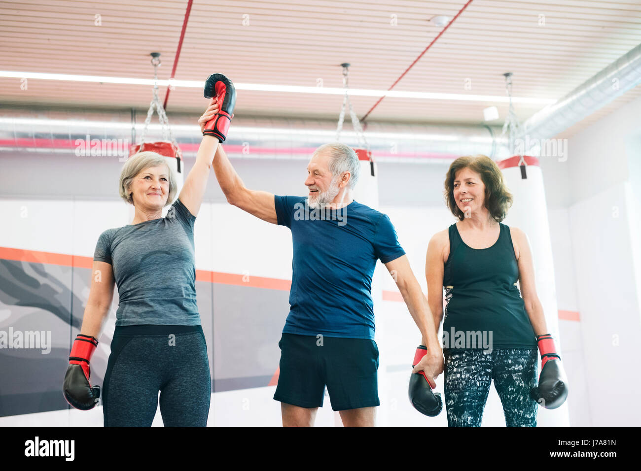 Group of happy seniors working out in gym, boxing Stock Photo - Alamy