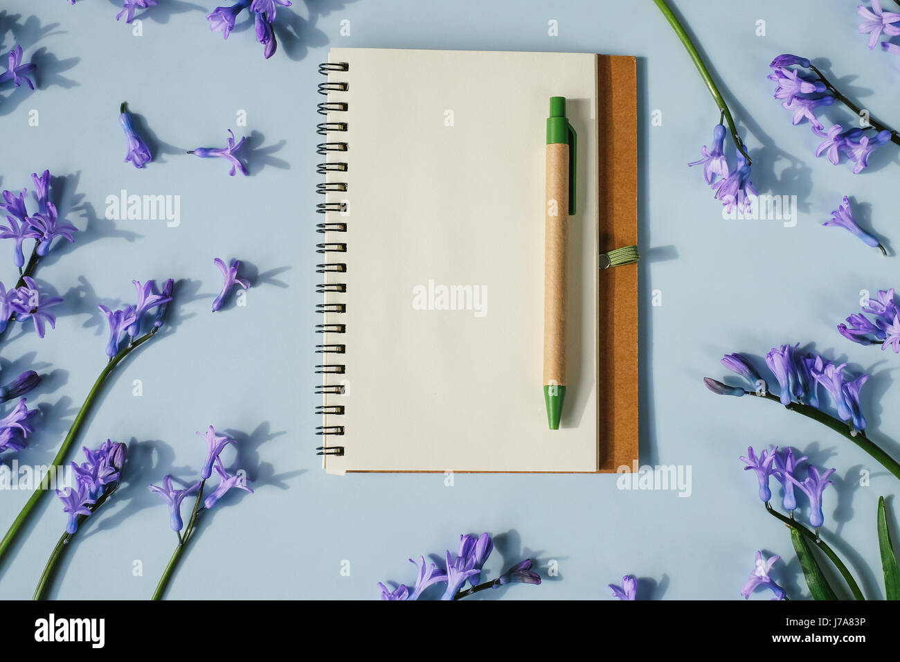 Notebook with pen and spring flowers on light blue background Stock ...