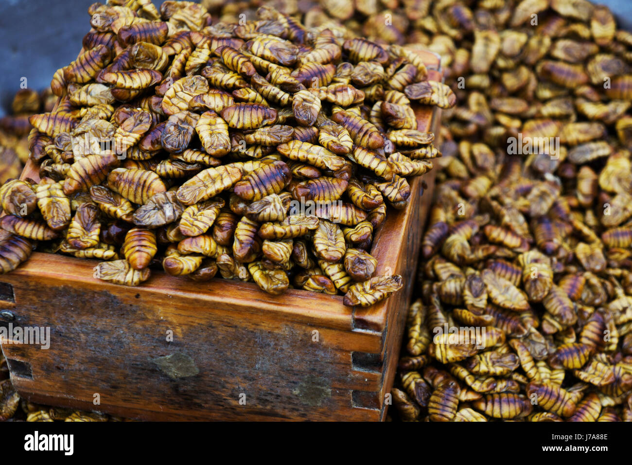 Food made from insects hi-res stock photography and images - Alamy