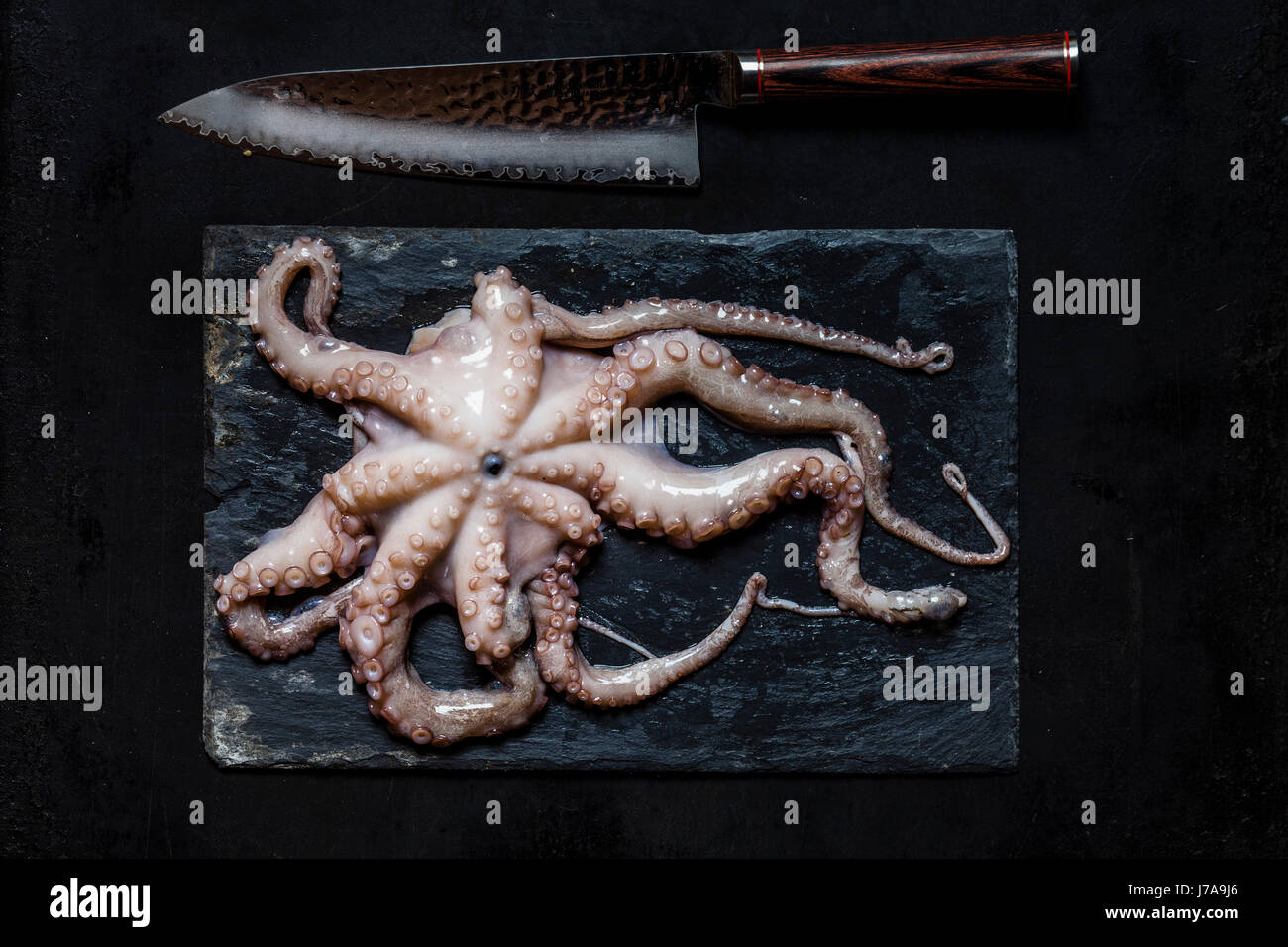Raw octopus on slate and kitchen knife Stock Photo - Alamy