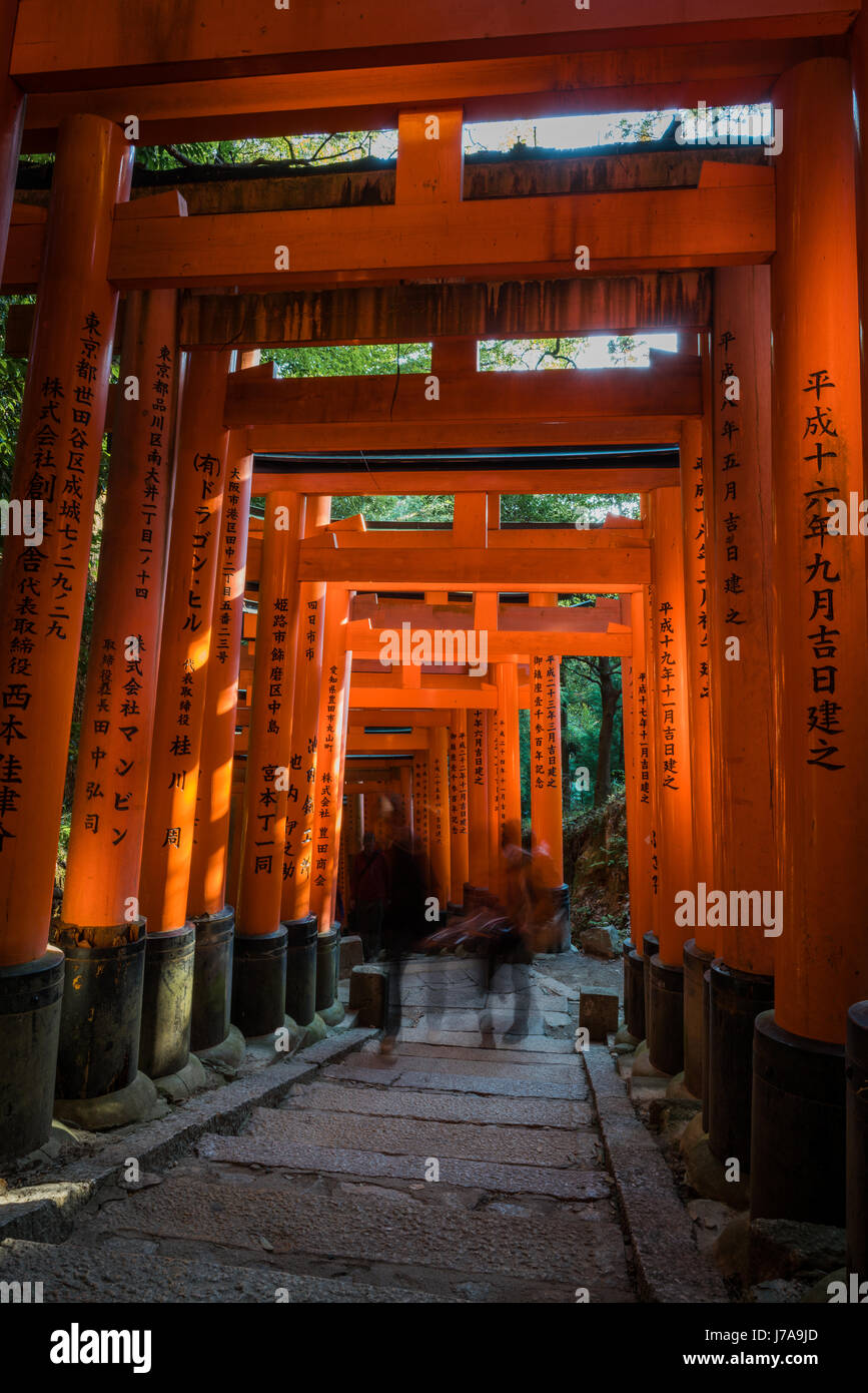 Three people climb up the torii path. Rays of sunlight peek through the ...