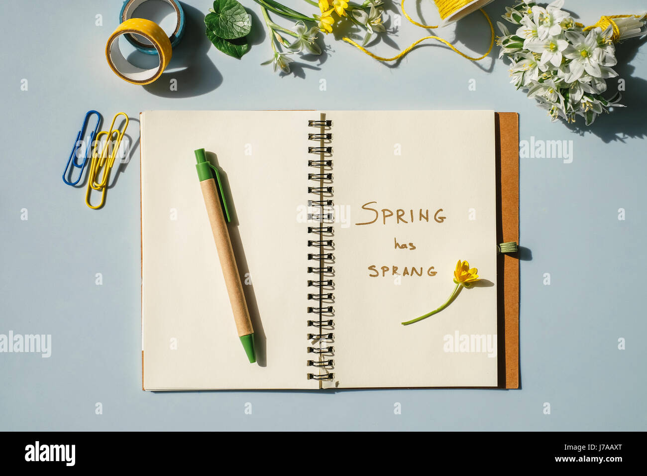 Notebook, office supplies and spring flowers on light blue background ...