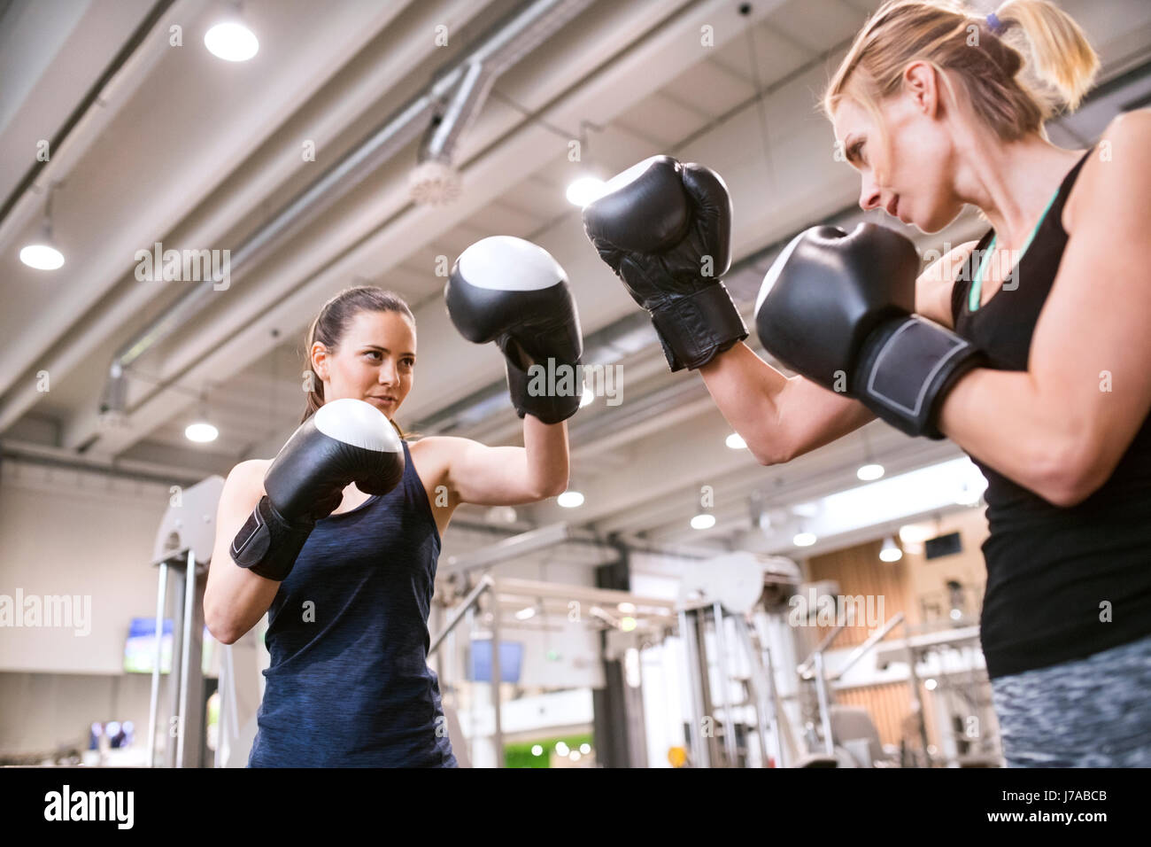 Young women boxing in gym Stock Photo - Alamy