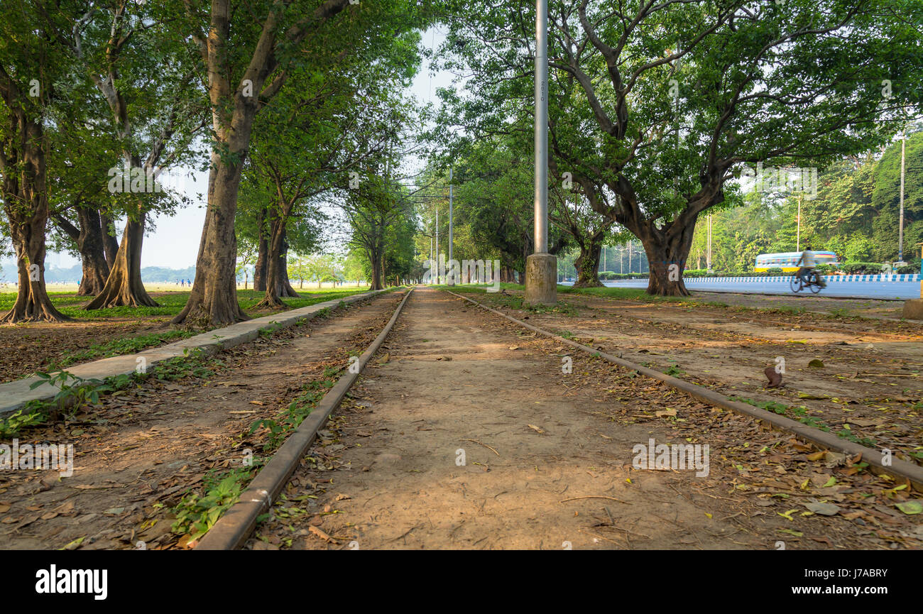 Tram tracks of the city tramway running through the scenic Maidan area ...