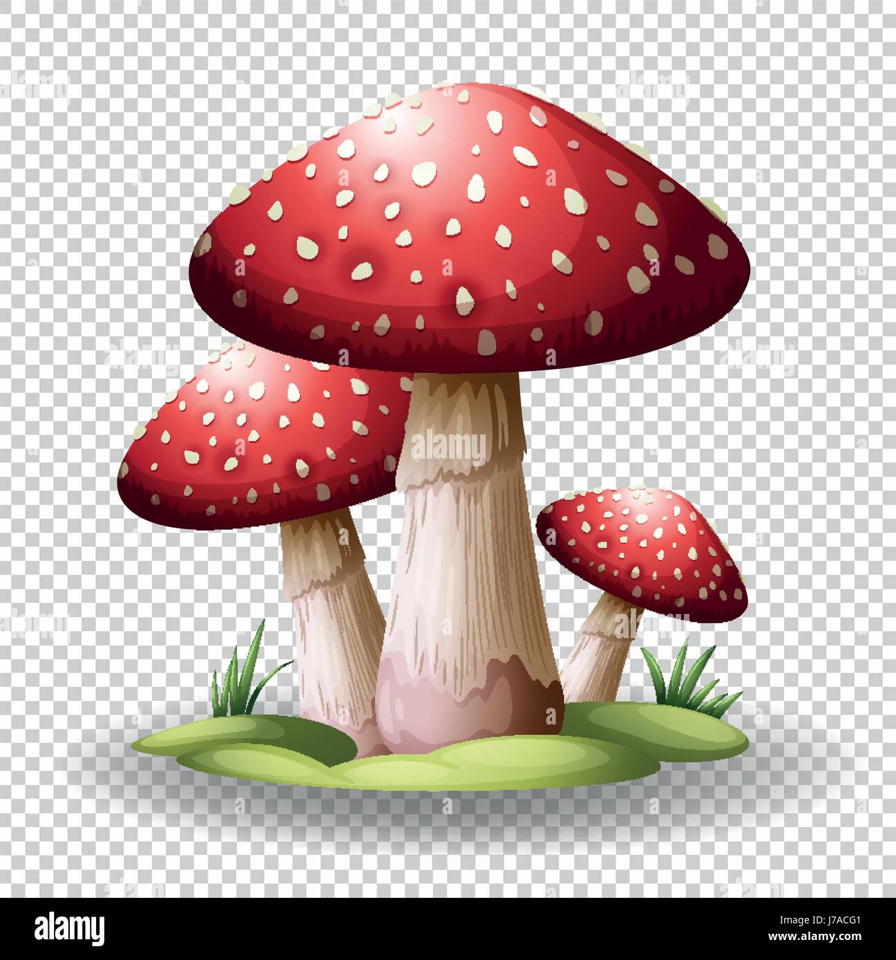 Red mushrooms on transparent background illustration Stock Vector Image ...