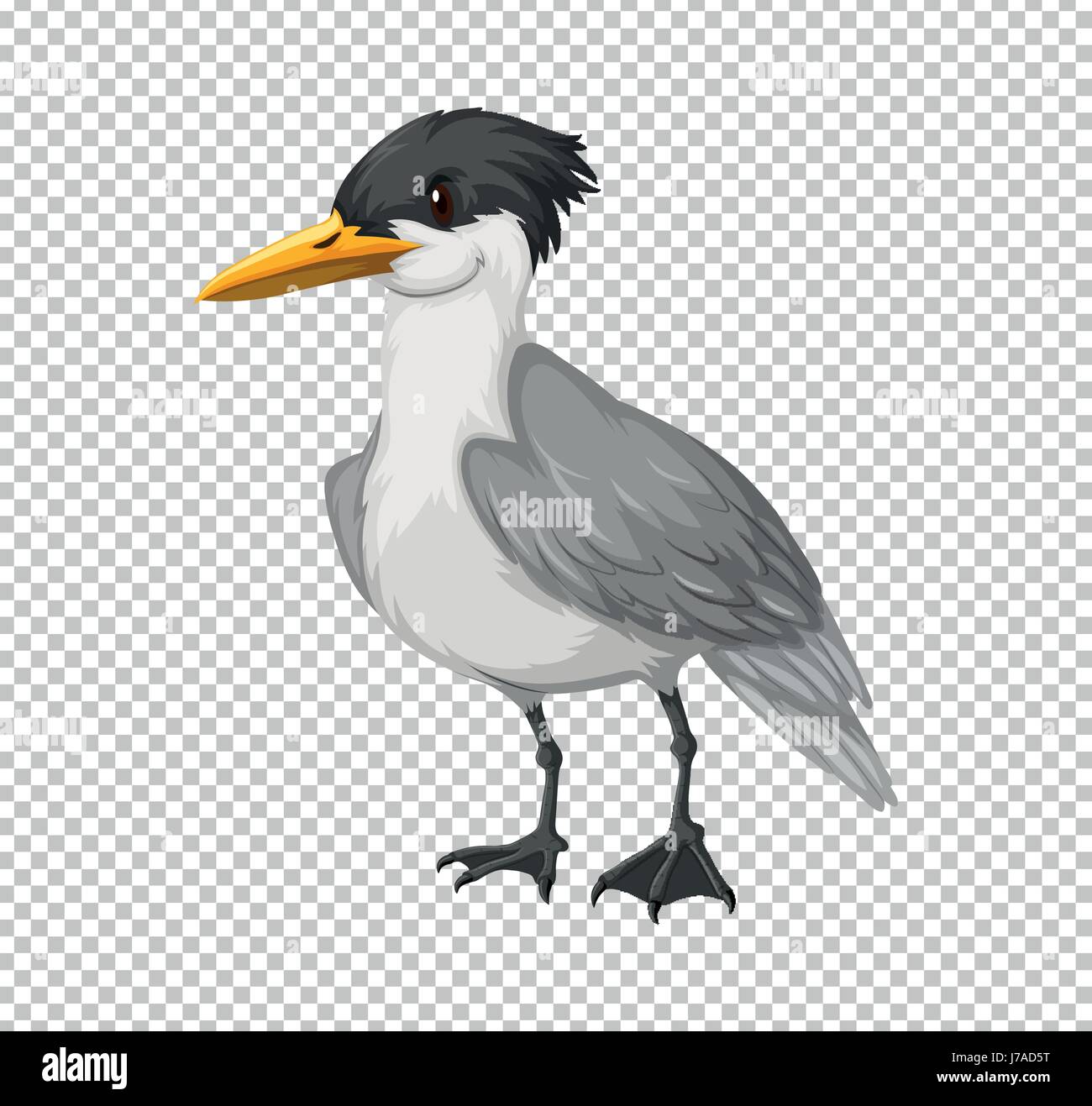 Wild bird on transparent background illustration Stock Vector Image ...