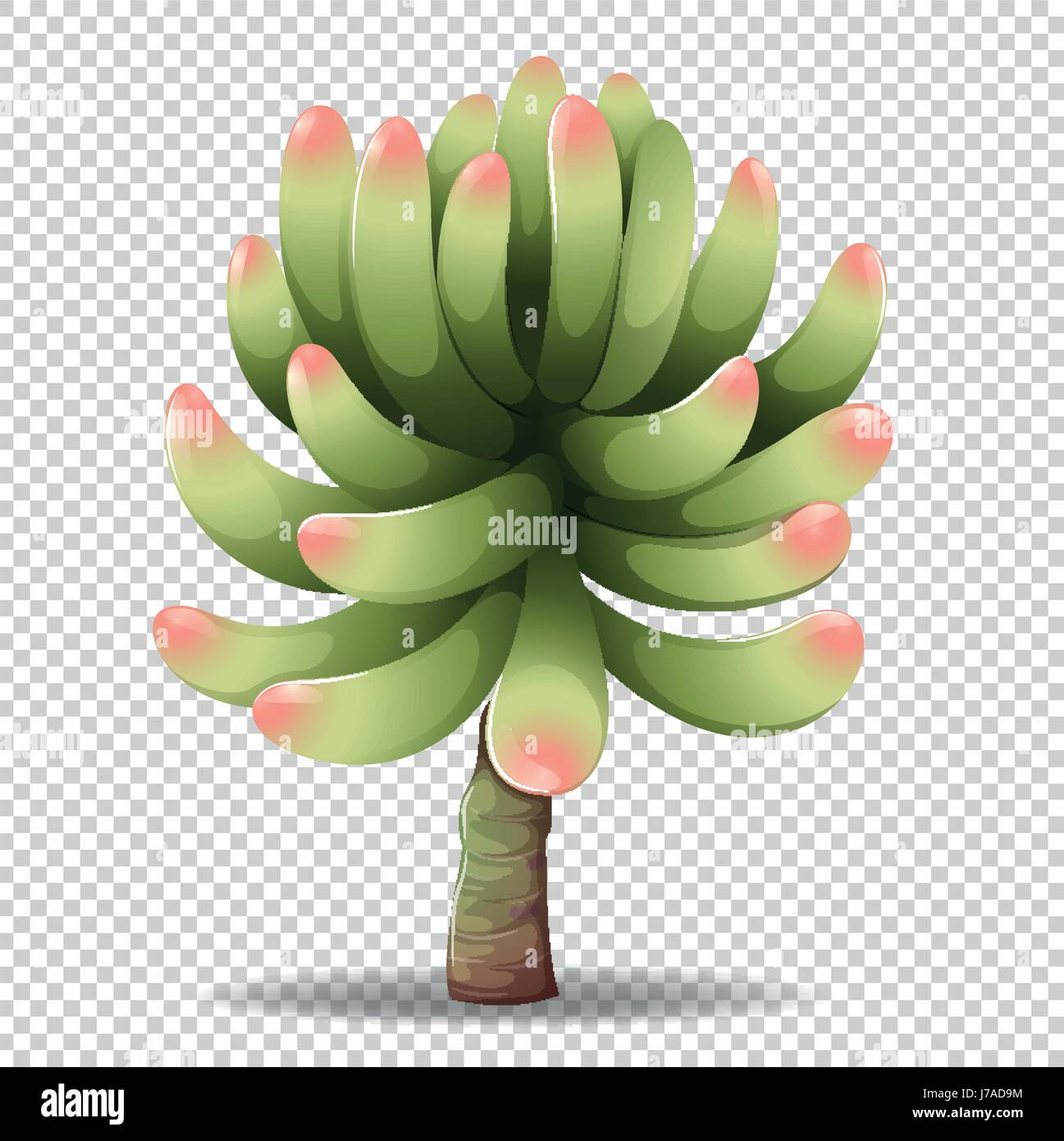 Cactus flower on transparent background illustration Stock Vector Image ...