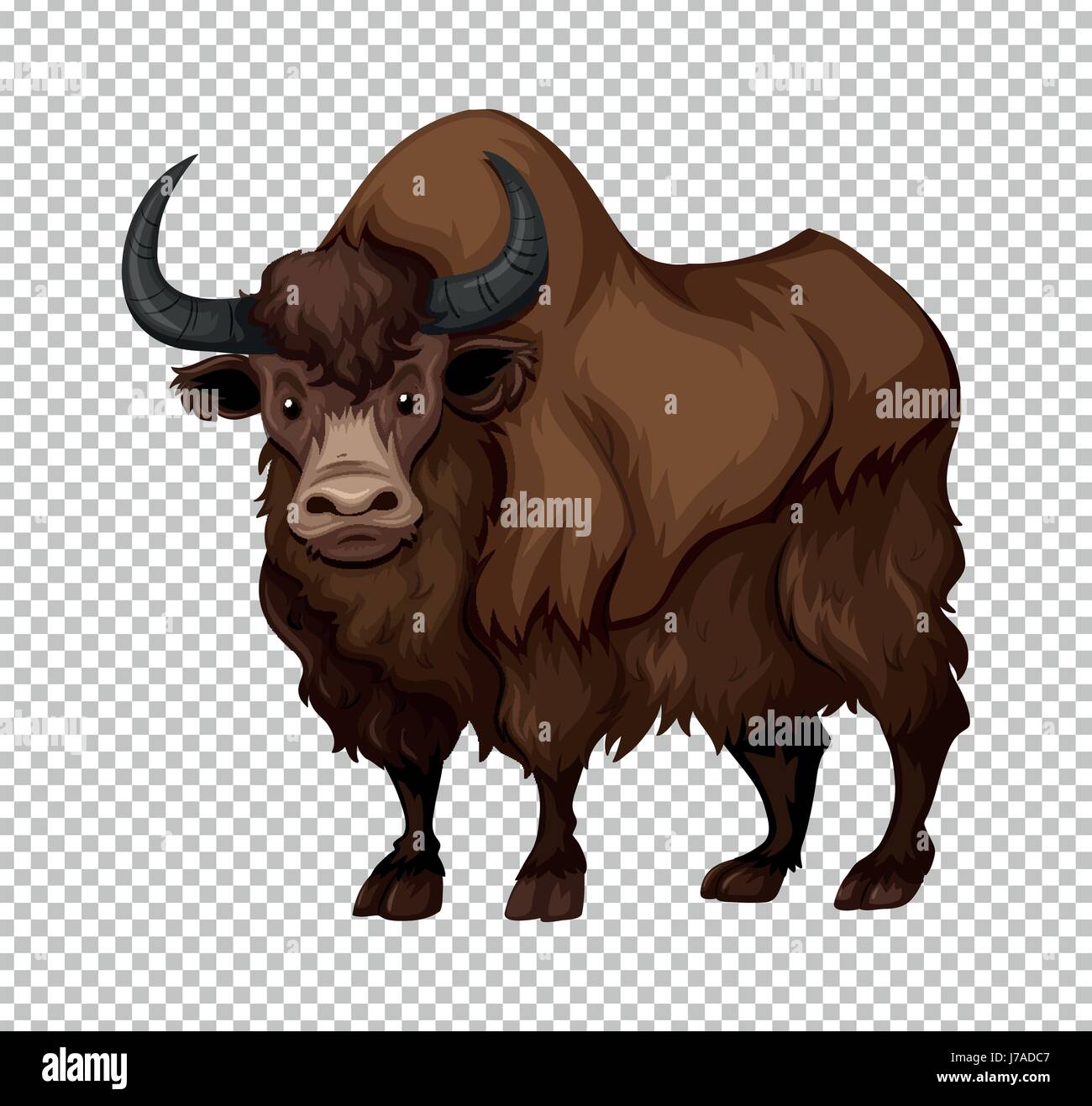 Long hair bull Stock Vector Images - Alamy
