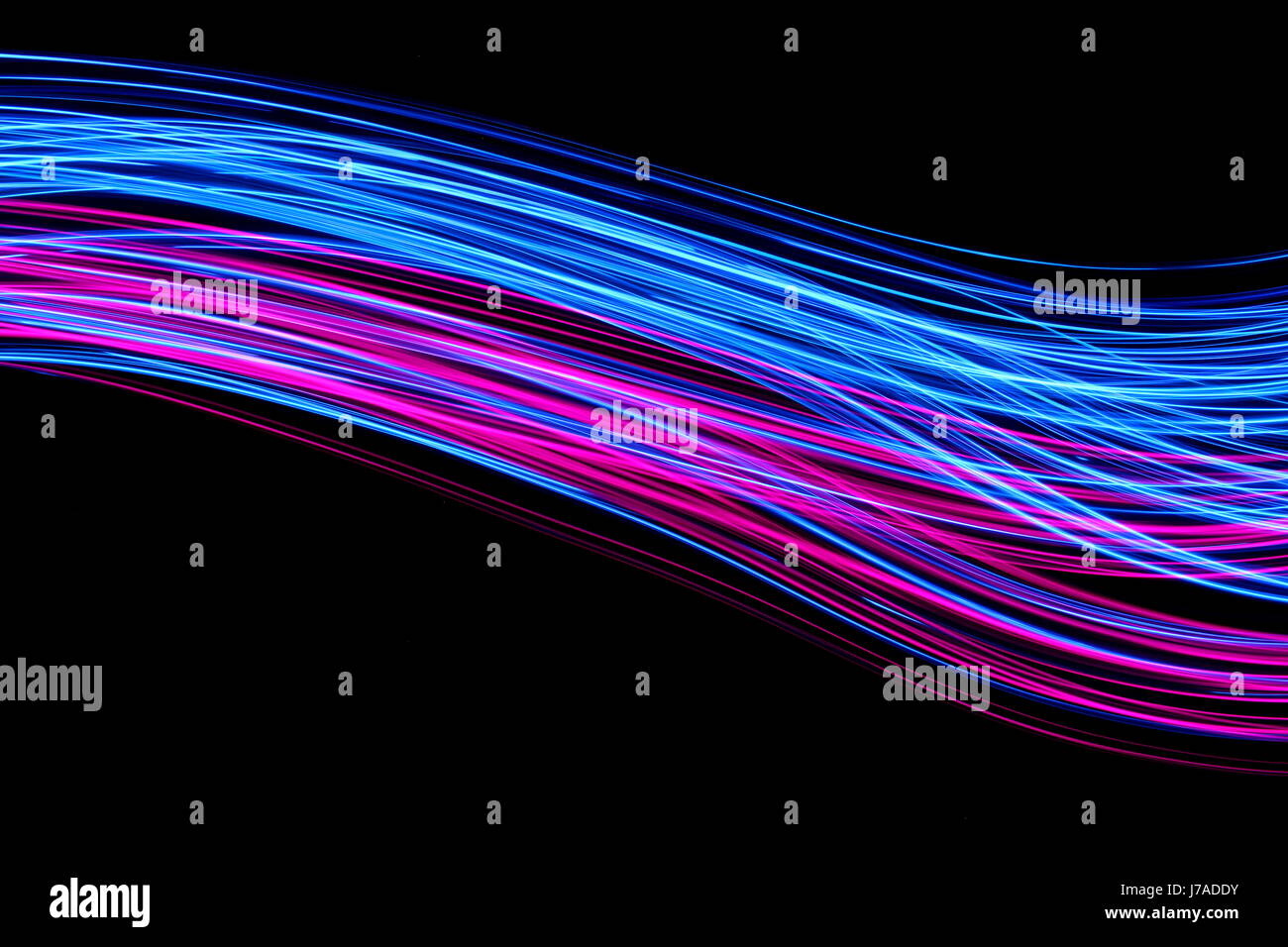Long exposure photograph of neon pink and blue colour in an abstract ...