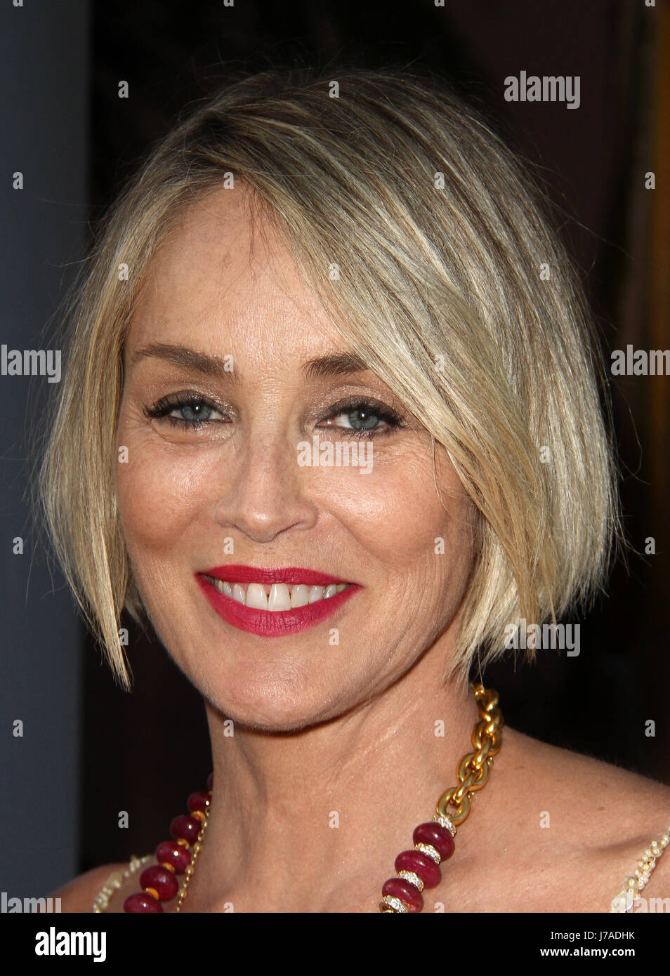 Lupus LA's Orange Ball: Rocket to a Cure - Arrivals Featuring: Sharon ...