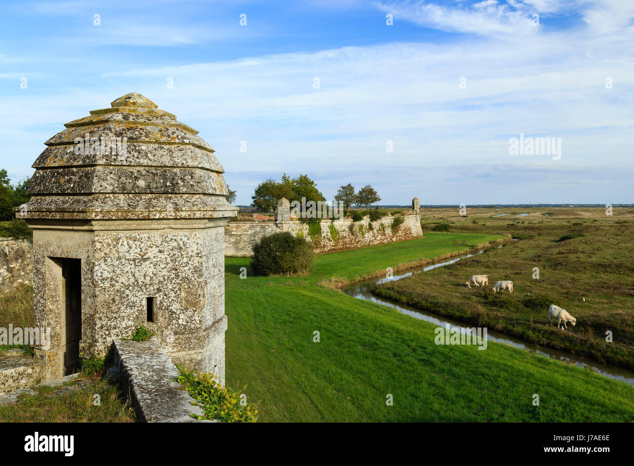 France, Charente Maritime, Hiers Brouage, Citadel of Brouage, walls and ...