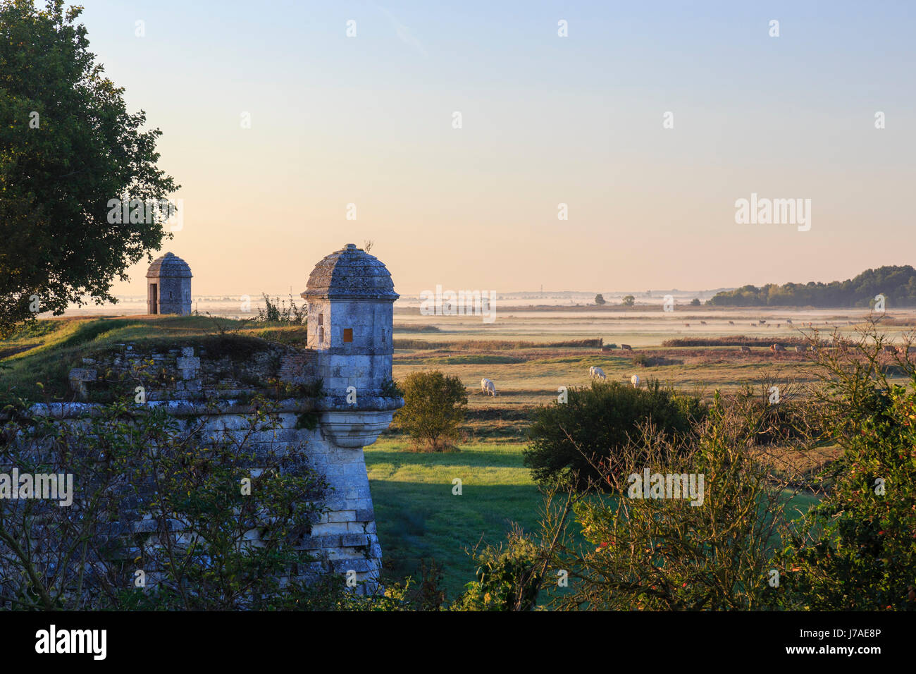 France, Charente Maritime, Hiers Brouage, Citadel of Brouage, walls and ...