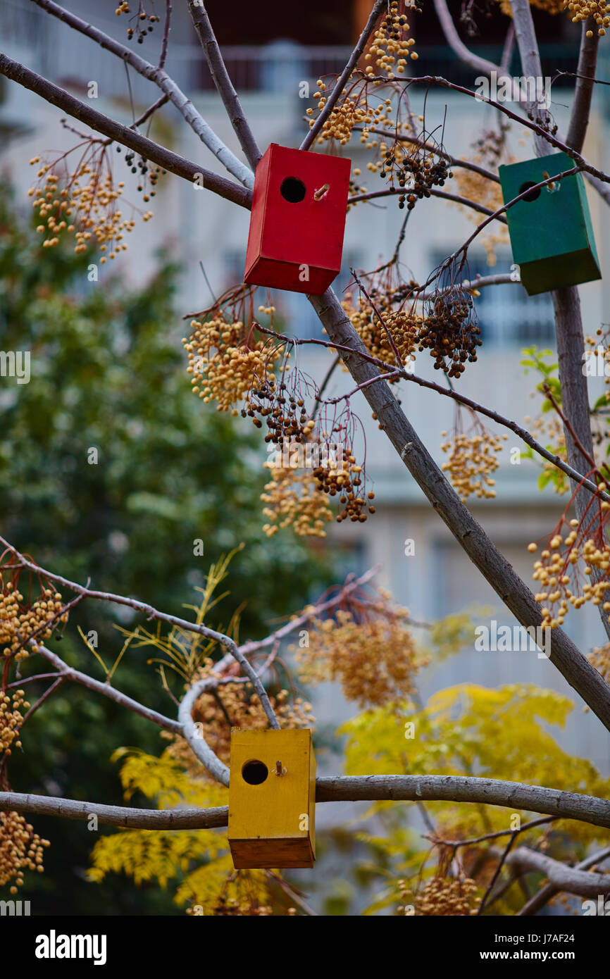 Many colorful bird houses on the tree Stock Photo - Alamy