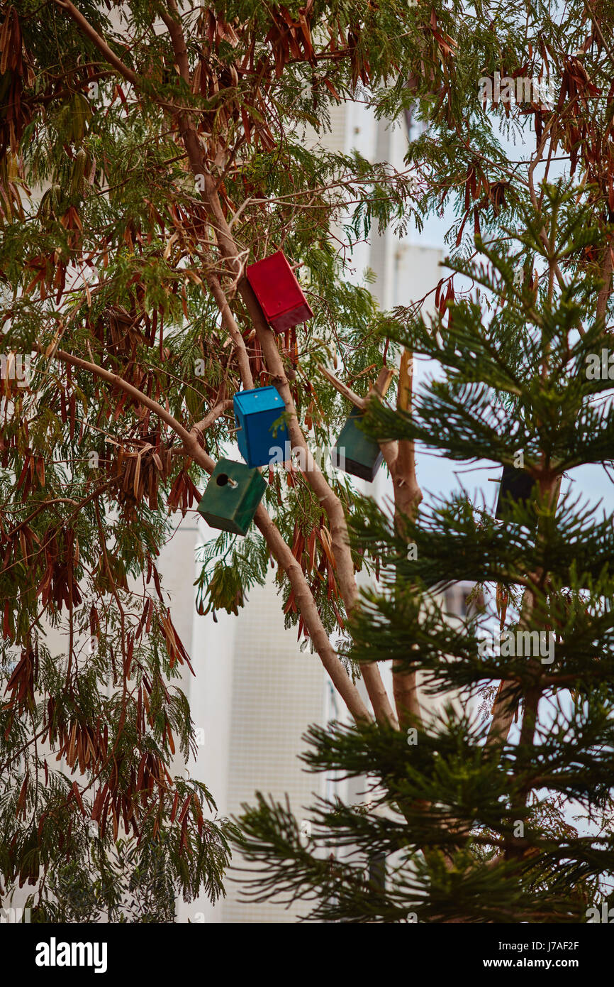 Many colorful bird houses on the tree Stock Photo - Alamy