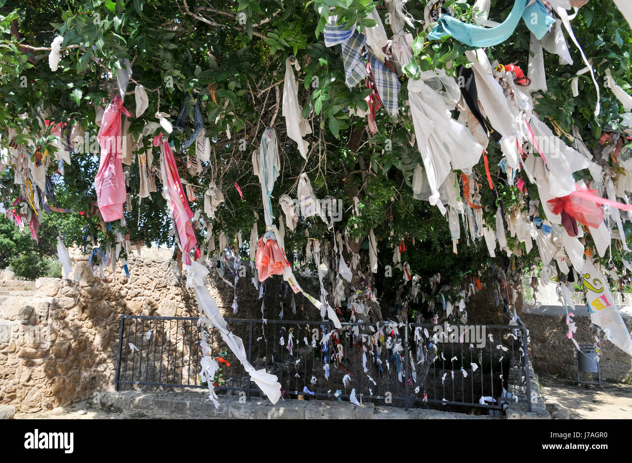 Personal offerings on the tree at Agia Solomoni Catacomb, Paphos ...