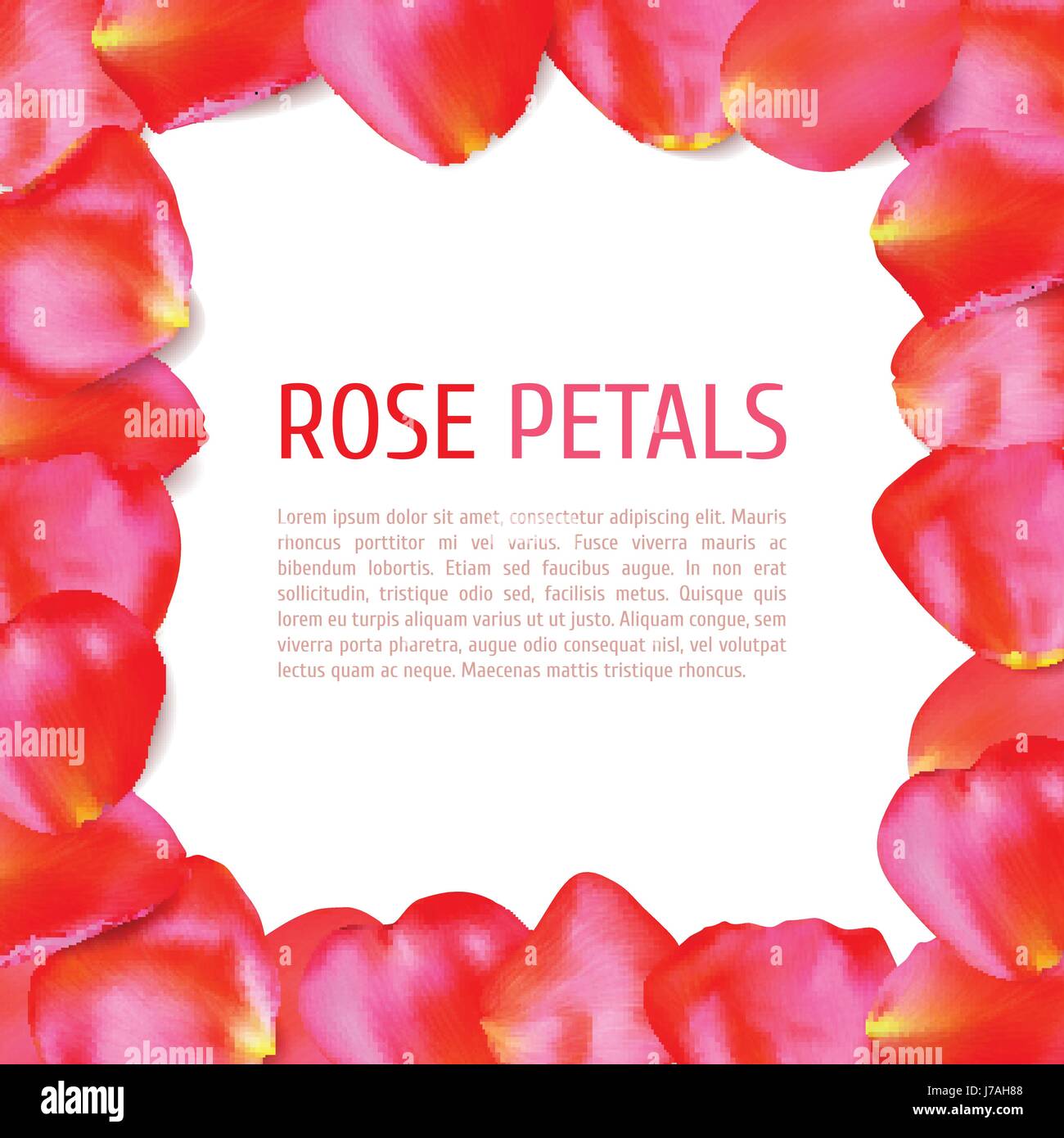 Copy space rose petals Stock Vector Images - Alamy