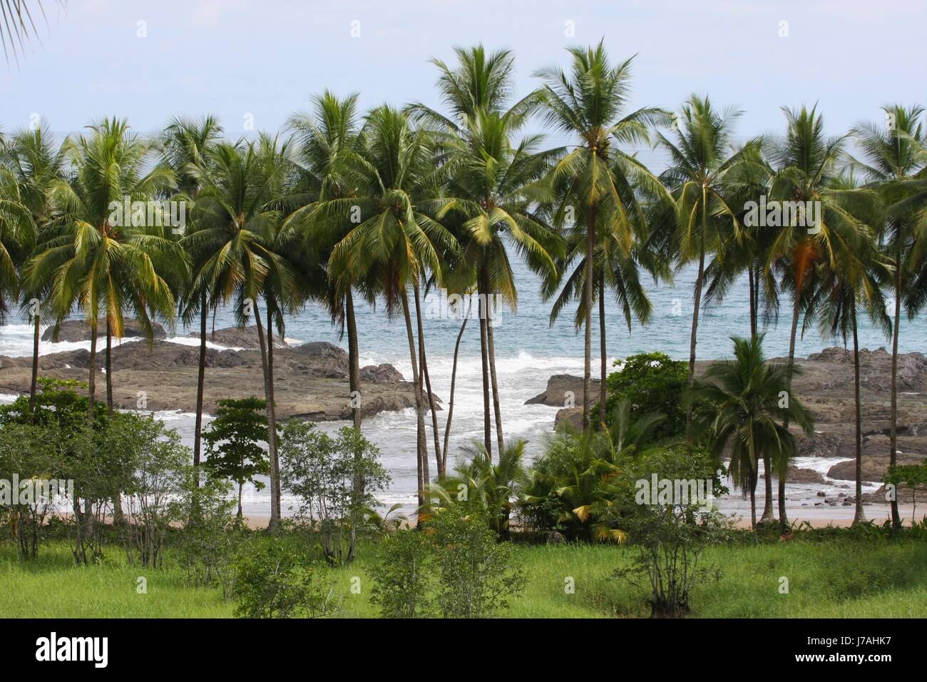 Playa dominical costa rica hi-res stock photography and images - Alamy