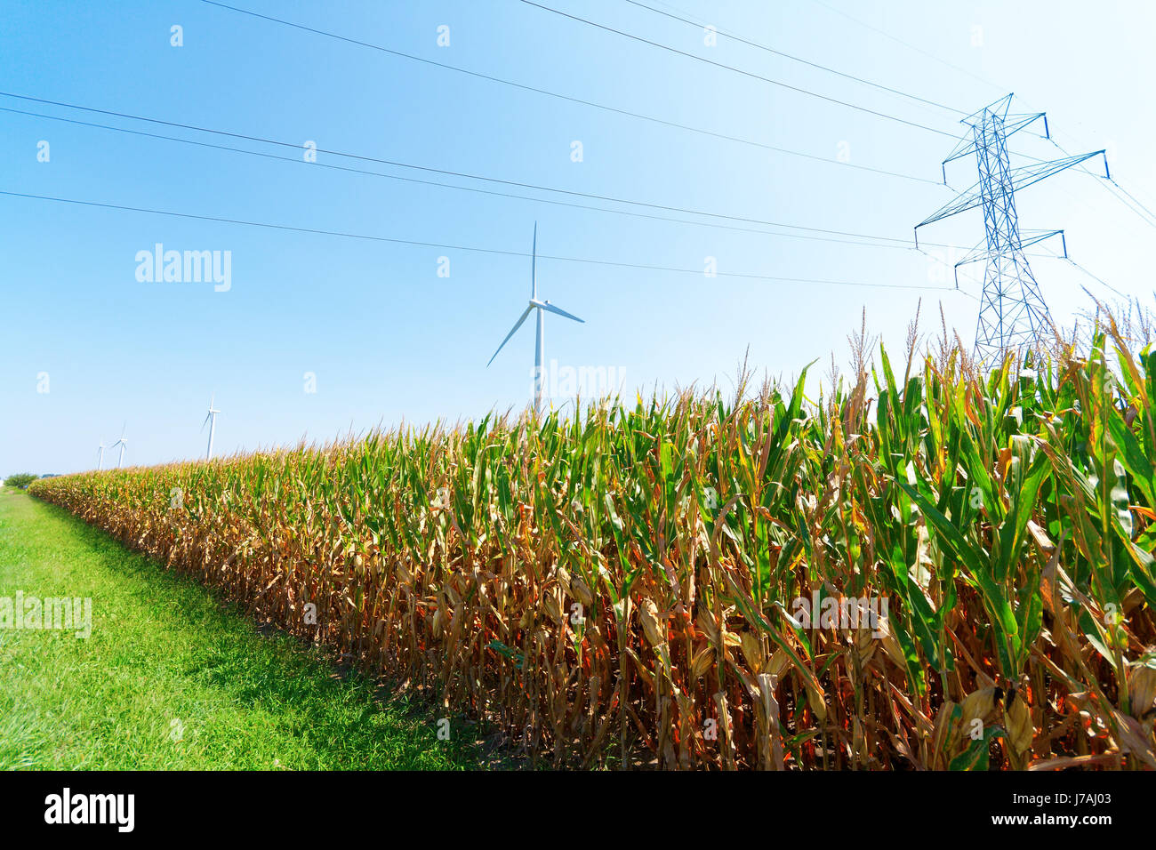 agriculture farming energy power electricity electric power farm corn ...