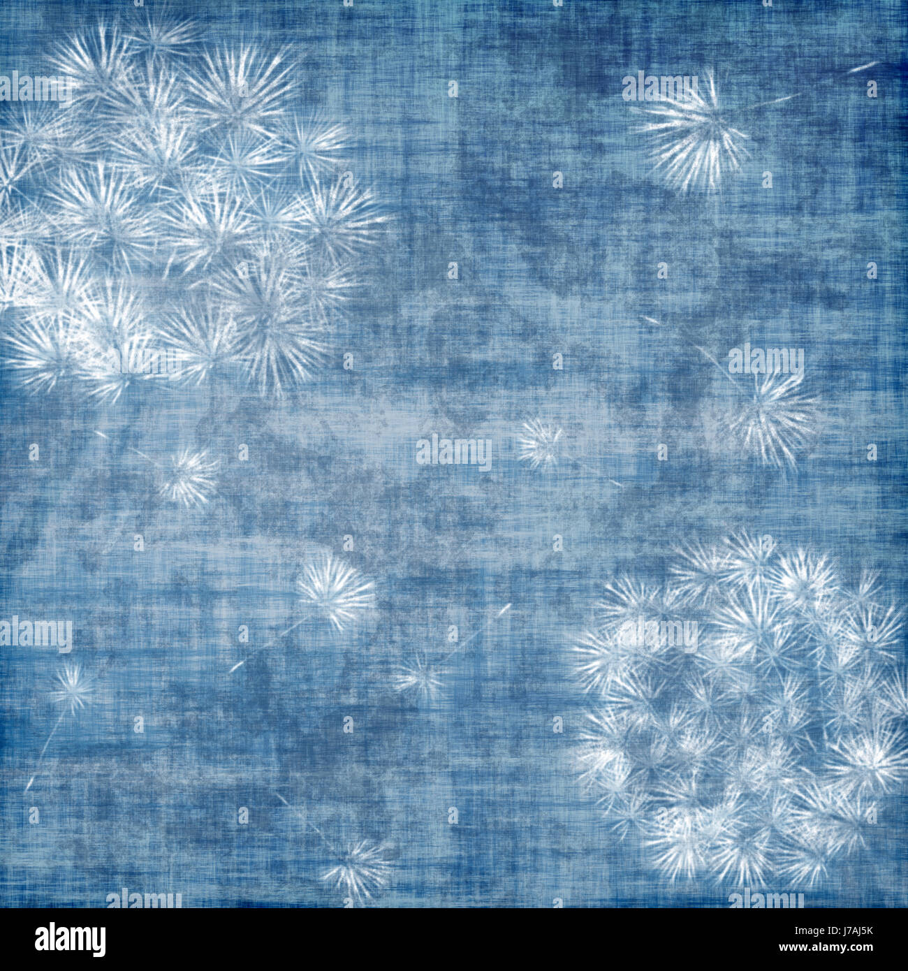 flower plant illustration dandelion floral texture design blue art ...