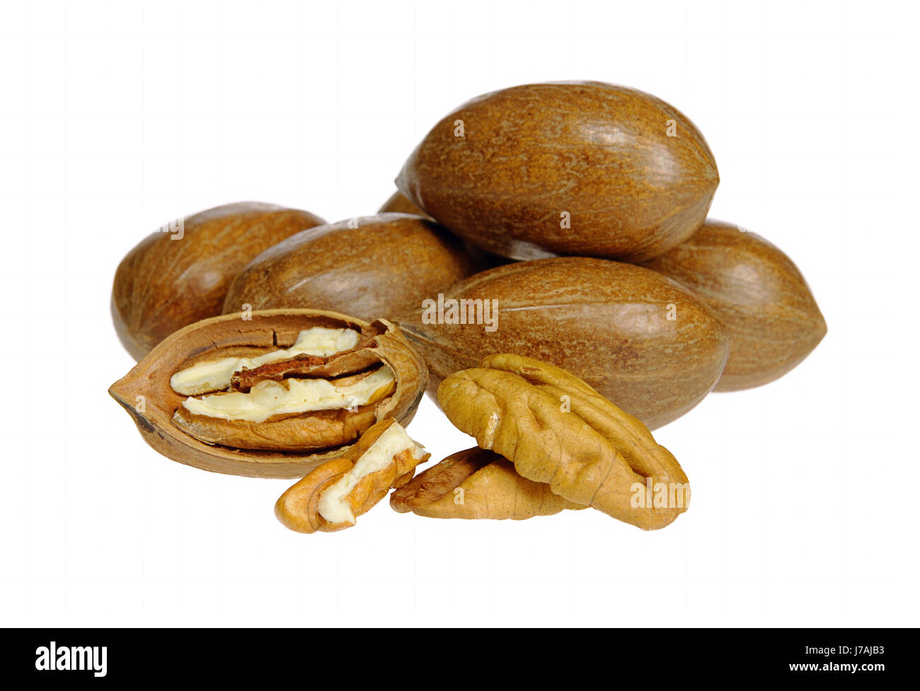 pecan - pecan nut 05 Stock Photo - Alamy