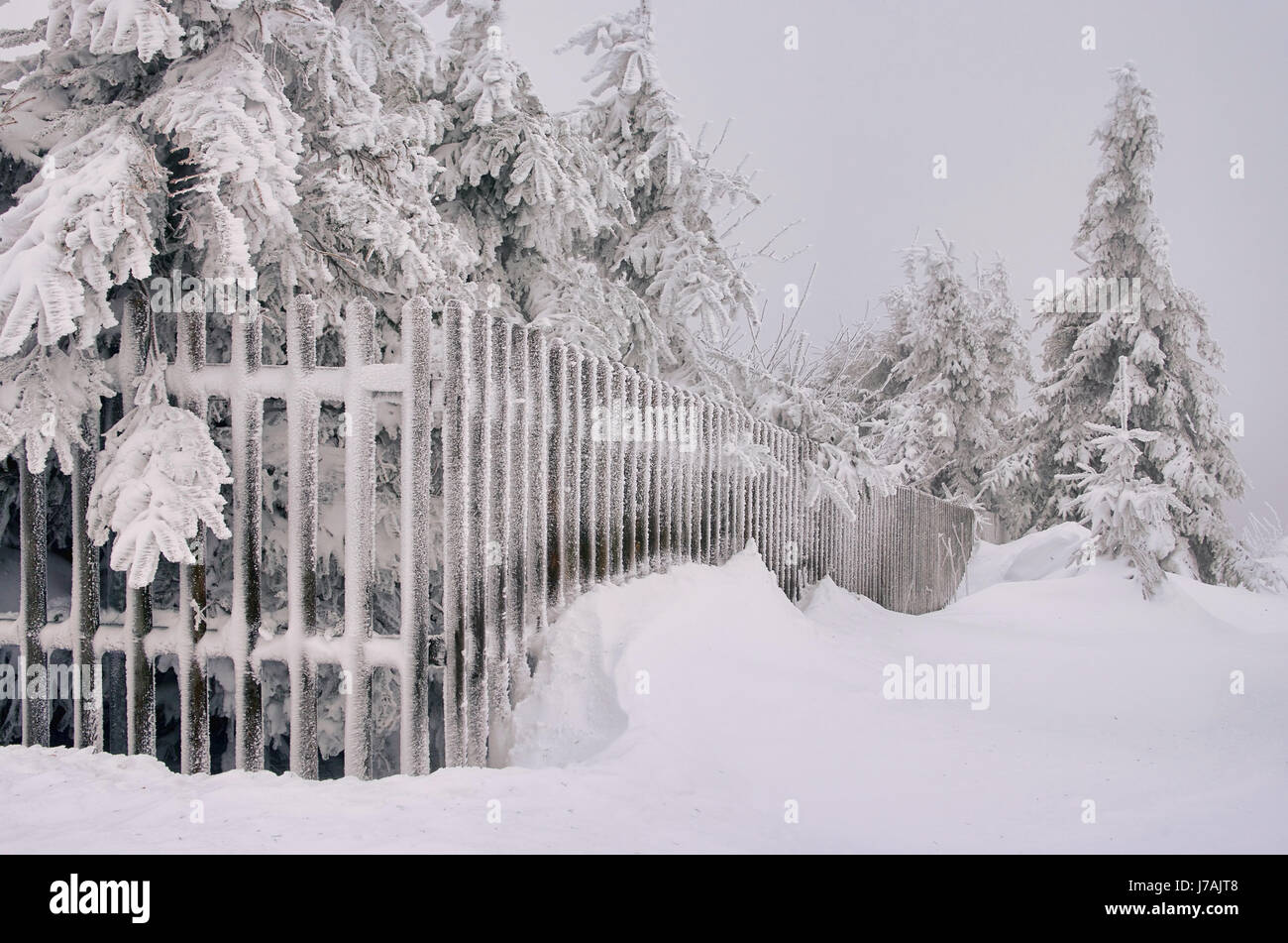 fence in winter - fence in winter 01 Stock Photo - Alamy