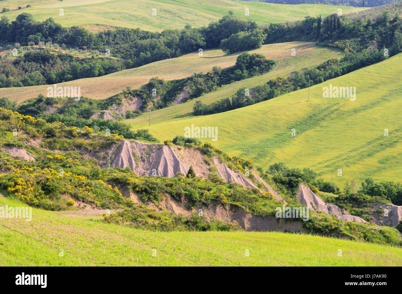 Crete Senesi, Accona High Resolution Stock Photography and Images - Alamy