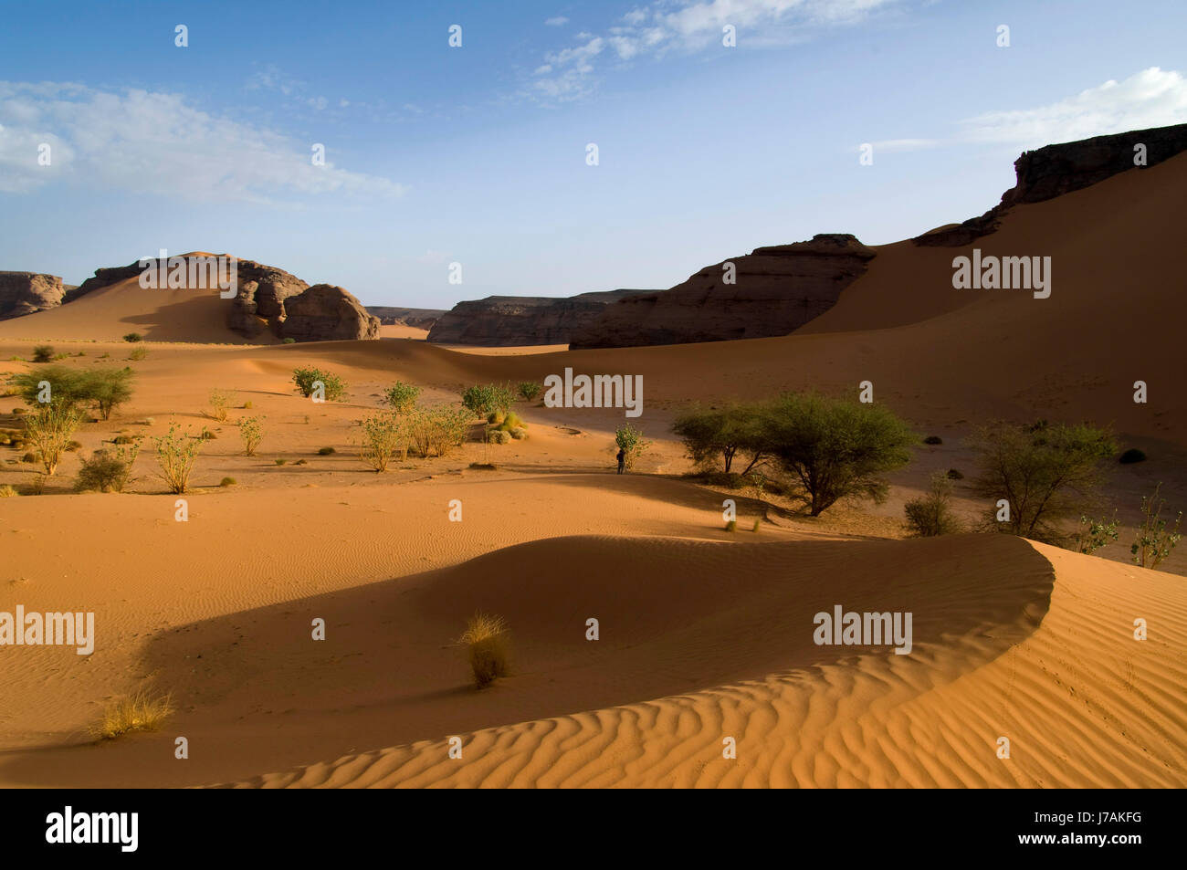 canyon in desert Stock Photo - Alamy