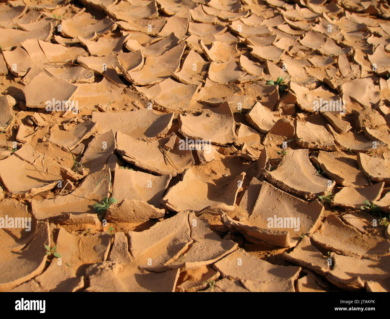 dry desert floor Stock Photo - Alamy