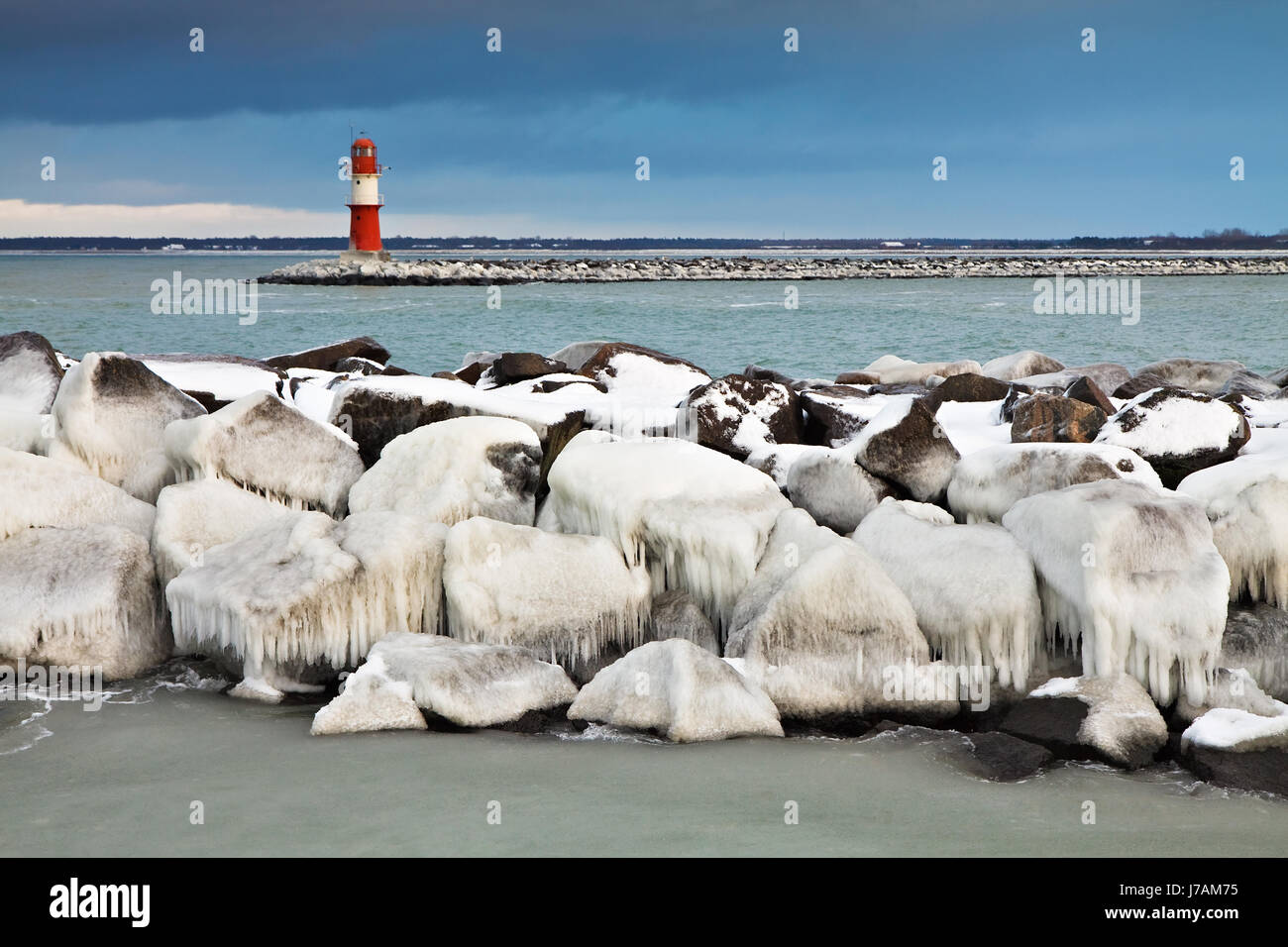 mole in winter Stock Photo - Alamy
