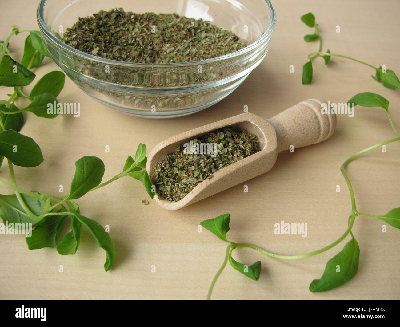 Majoranblttchen hi-res stock photography and images - Alamy