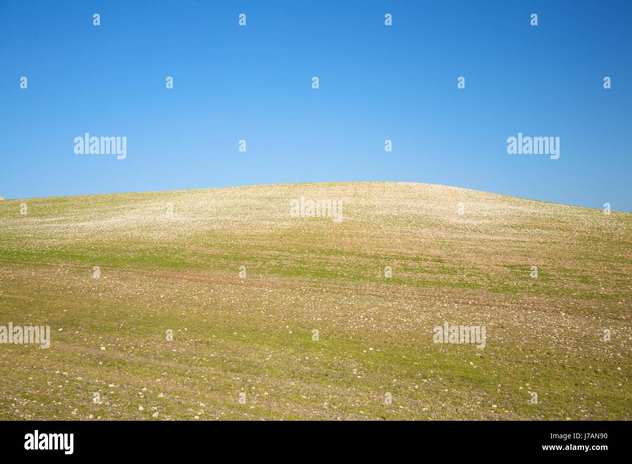 ground soil earth humus agriculture farming field spain cultivation ...