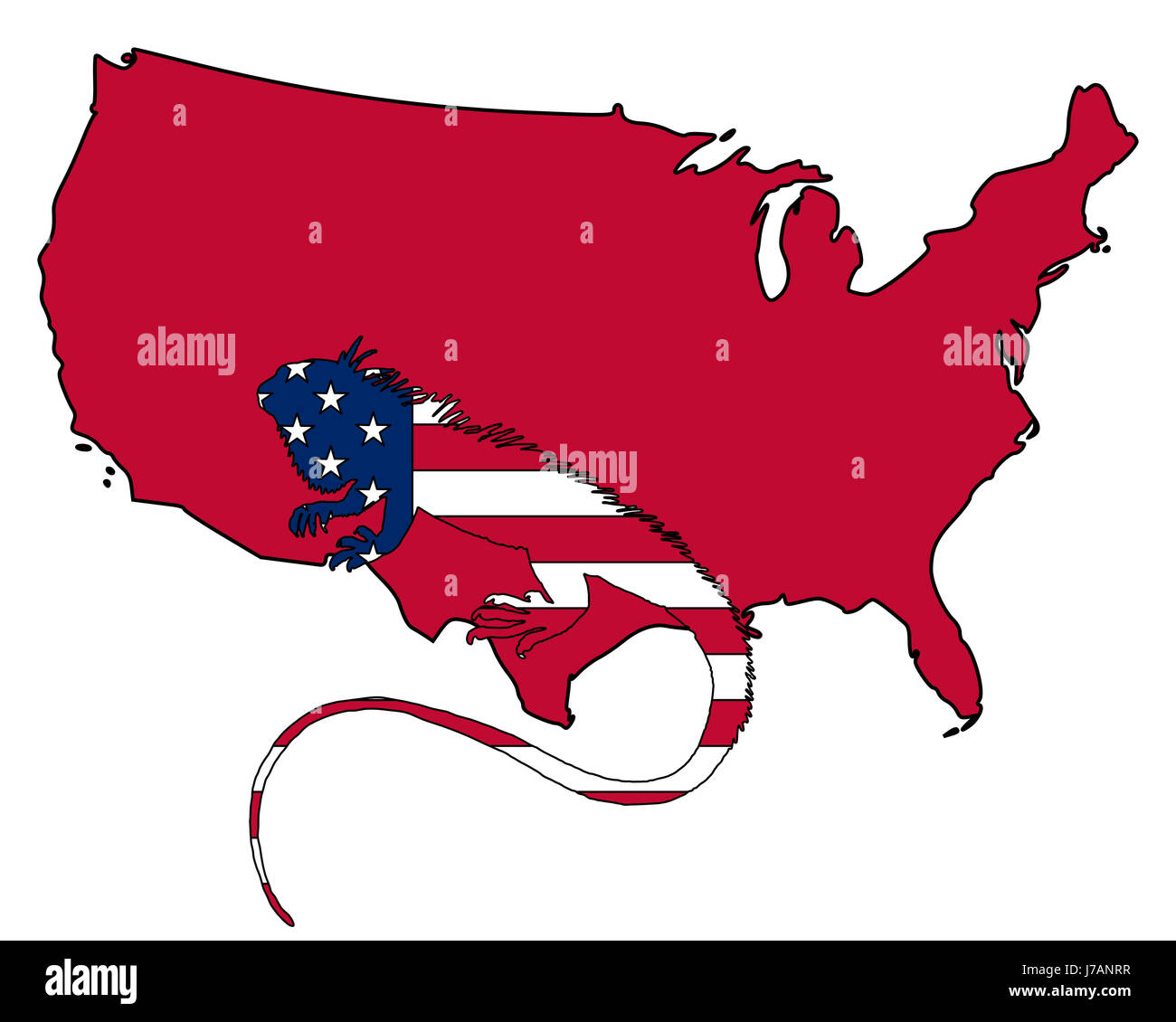 usa america iguana flag north america states united sign signal blue ...