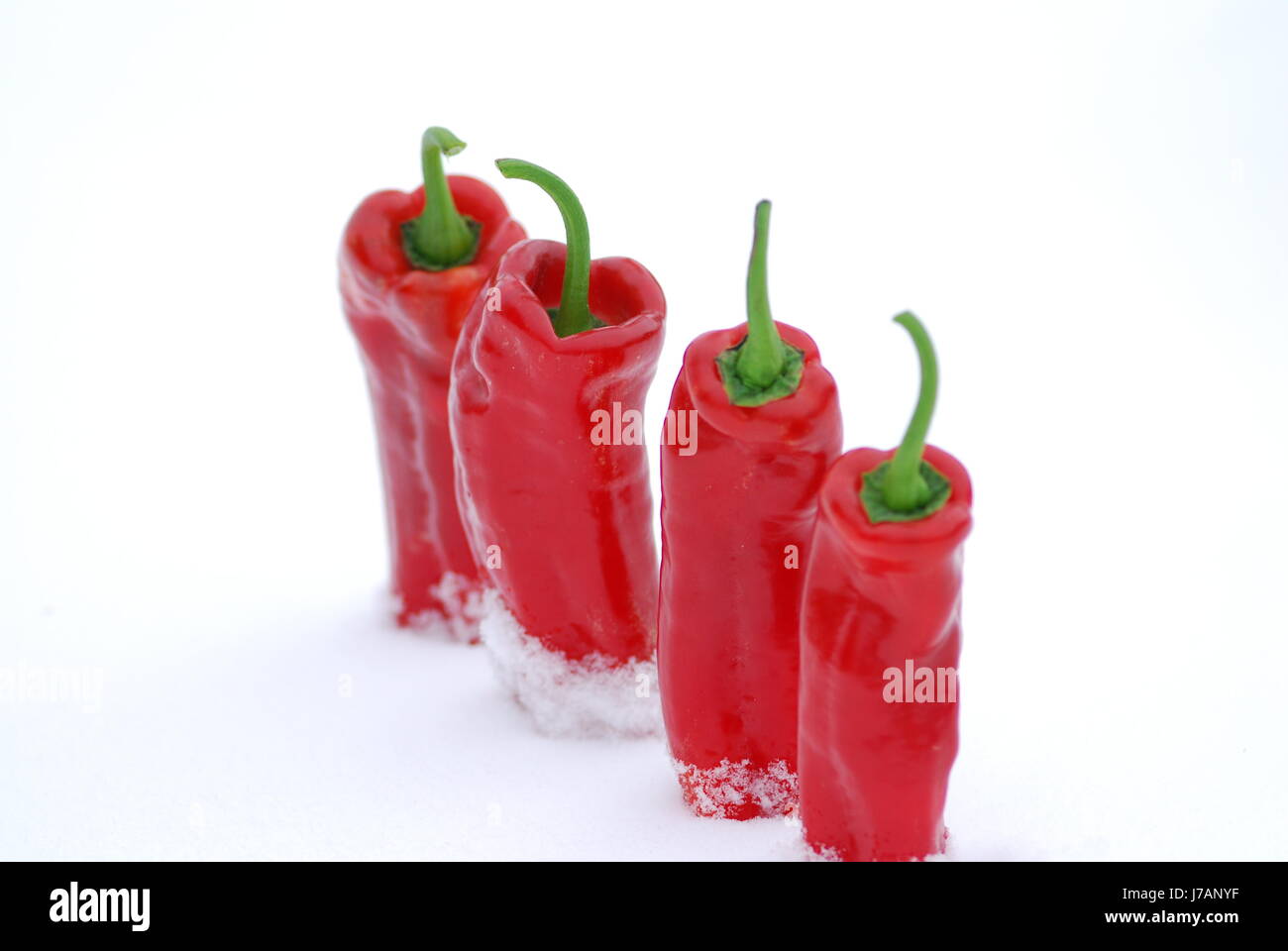 Rank and file hi-res stock photography and images - Alamy