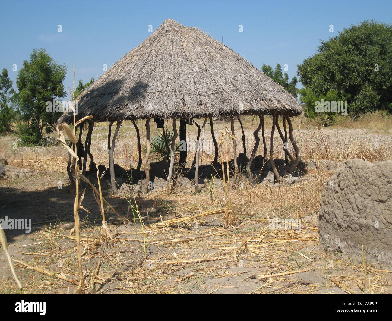 house building africa agriculture farming traditional African farm ...