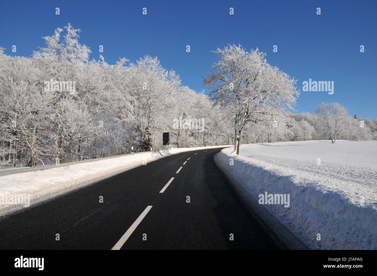winter winter landscape snow tree trees winter cold field snowy frost ...