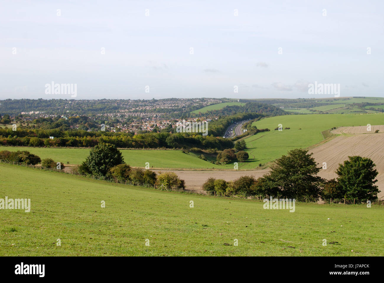 field england hedge scenery countryside nature meadow grass lawn green ...