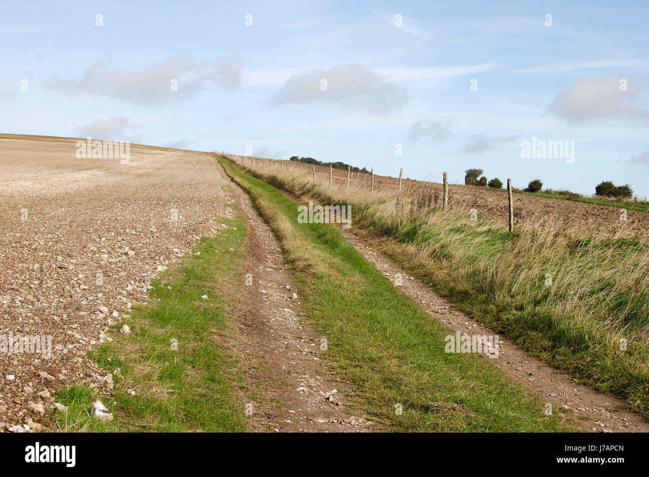 field england path way scenery countryside nature track tree ground ...