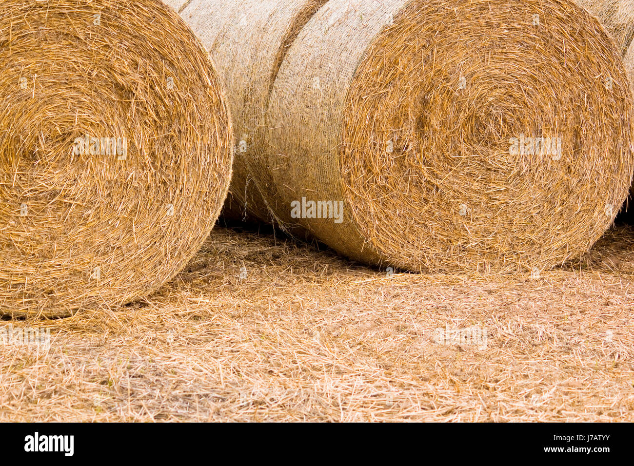 straw bales in row 02 Stock Photo - Alamy