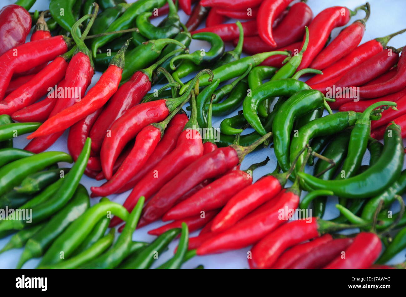 pepper spice hot vegetable mexican asian chilli chili red food aliment ...