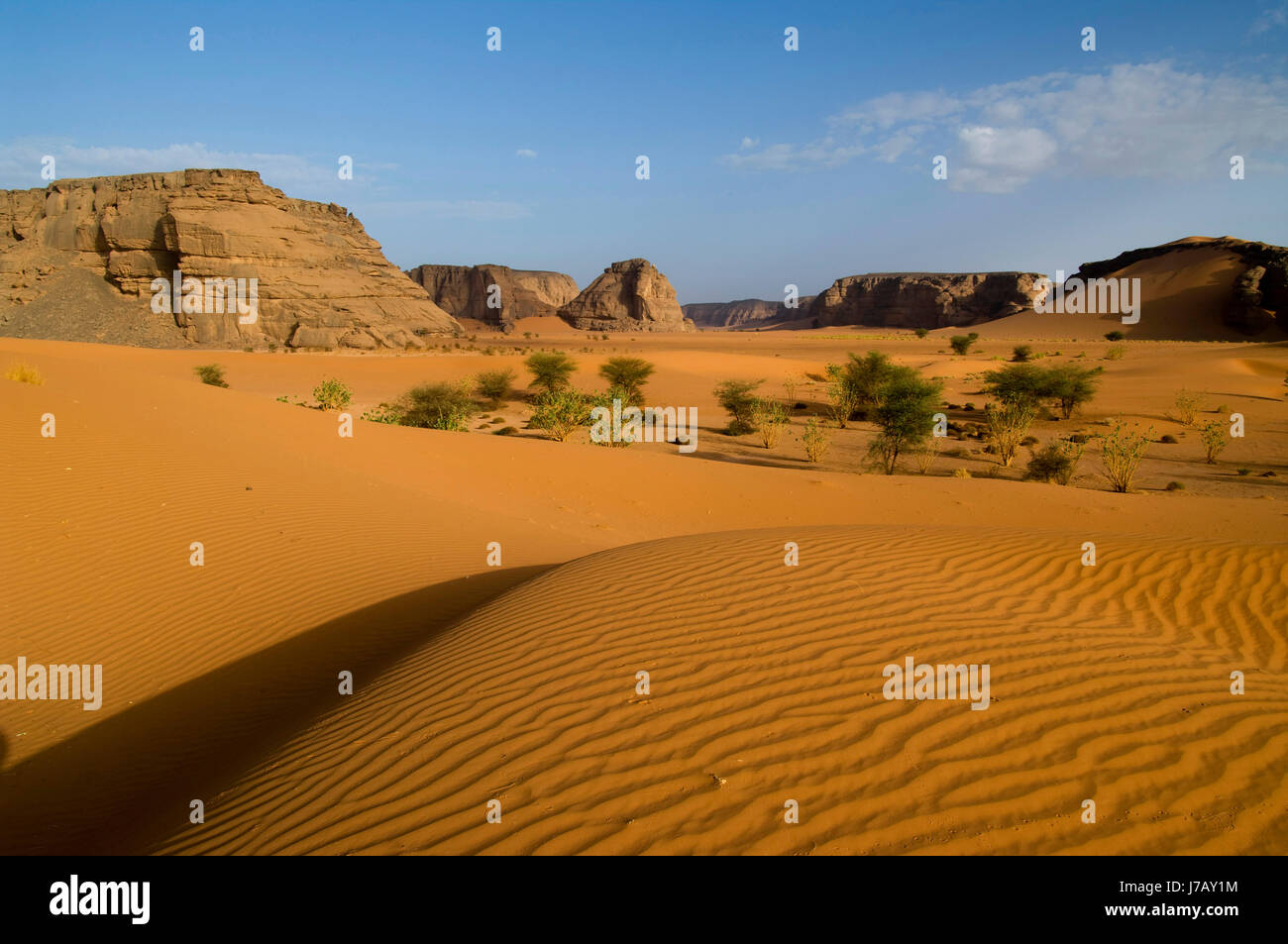 desert wasteland rock north africa dune sands sand rock geology ...