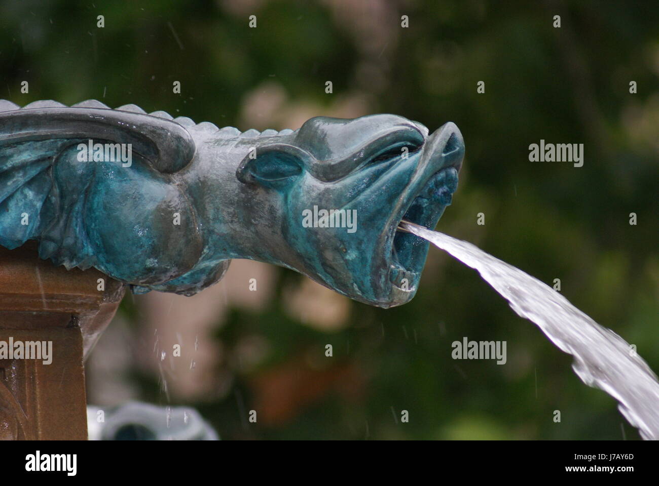 fountain gargoyle feature gothic water green hall city town square ...