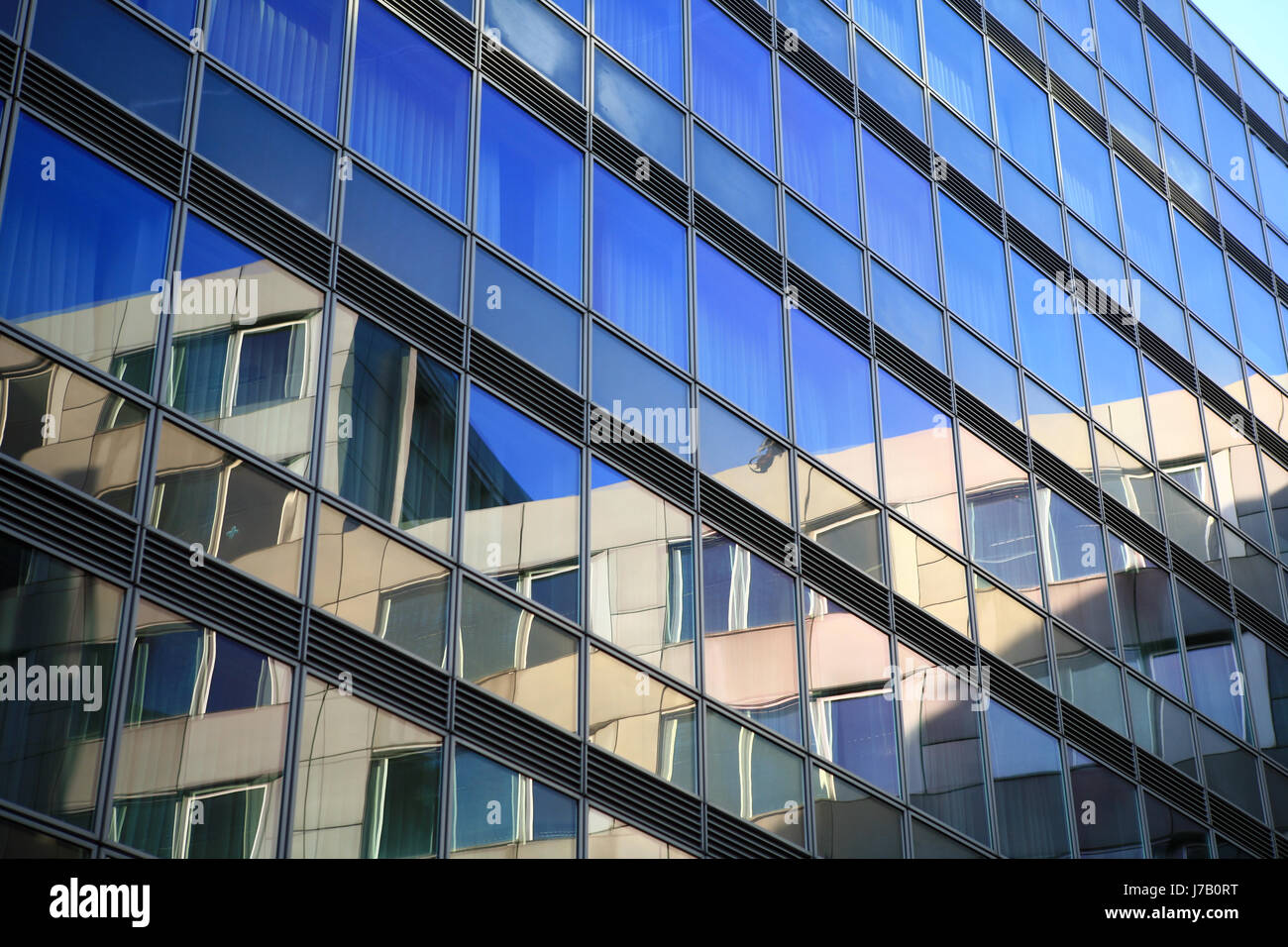 stairs humans human beings people folk persons human human being ...