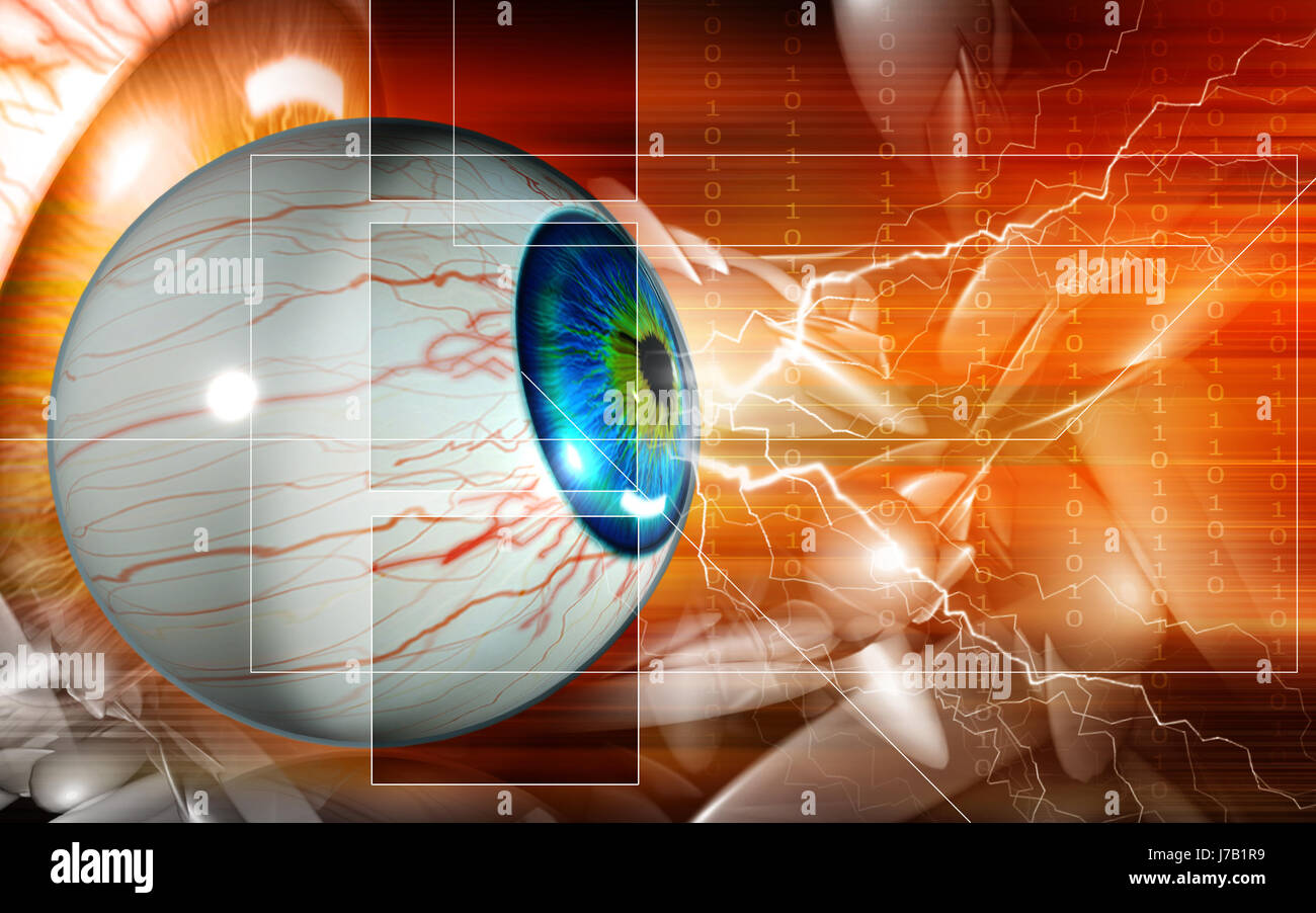 education graphics colour science eye organ three-dimensional ...