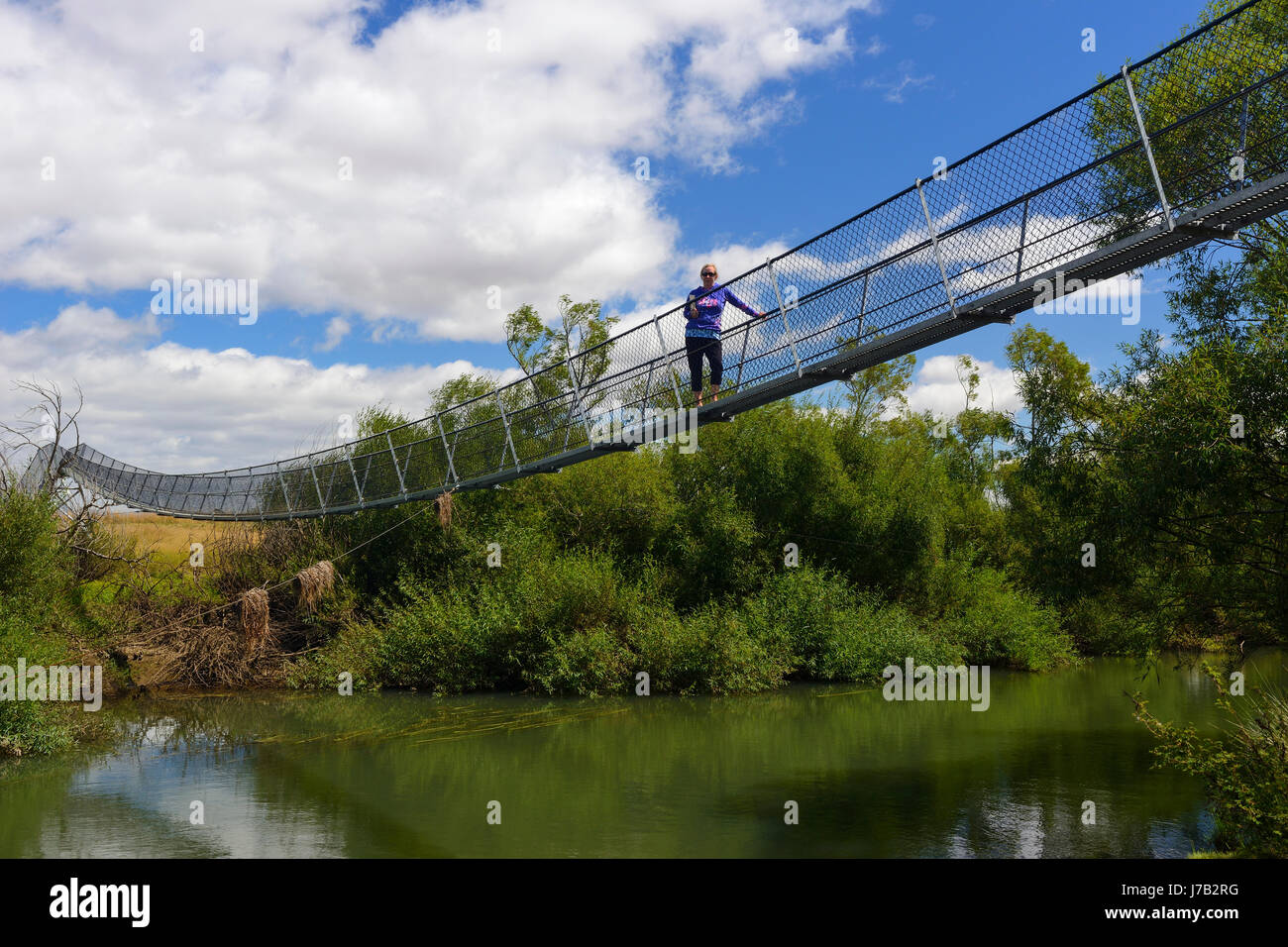 Suspension bridge across Macquarie River at Woolmers Estate near ...