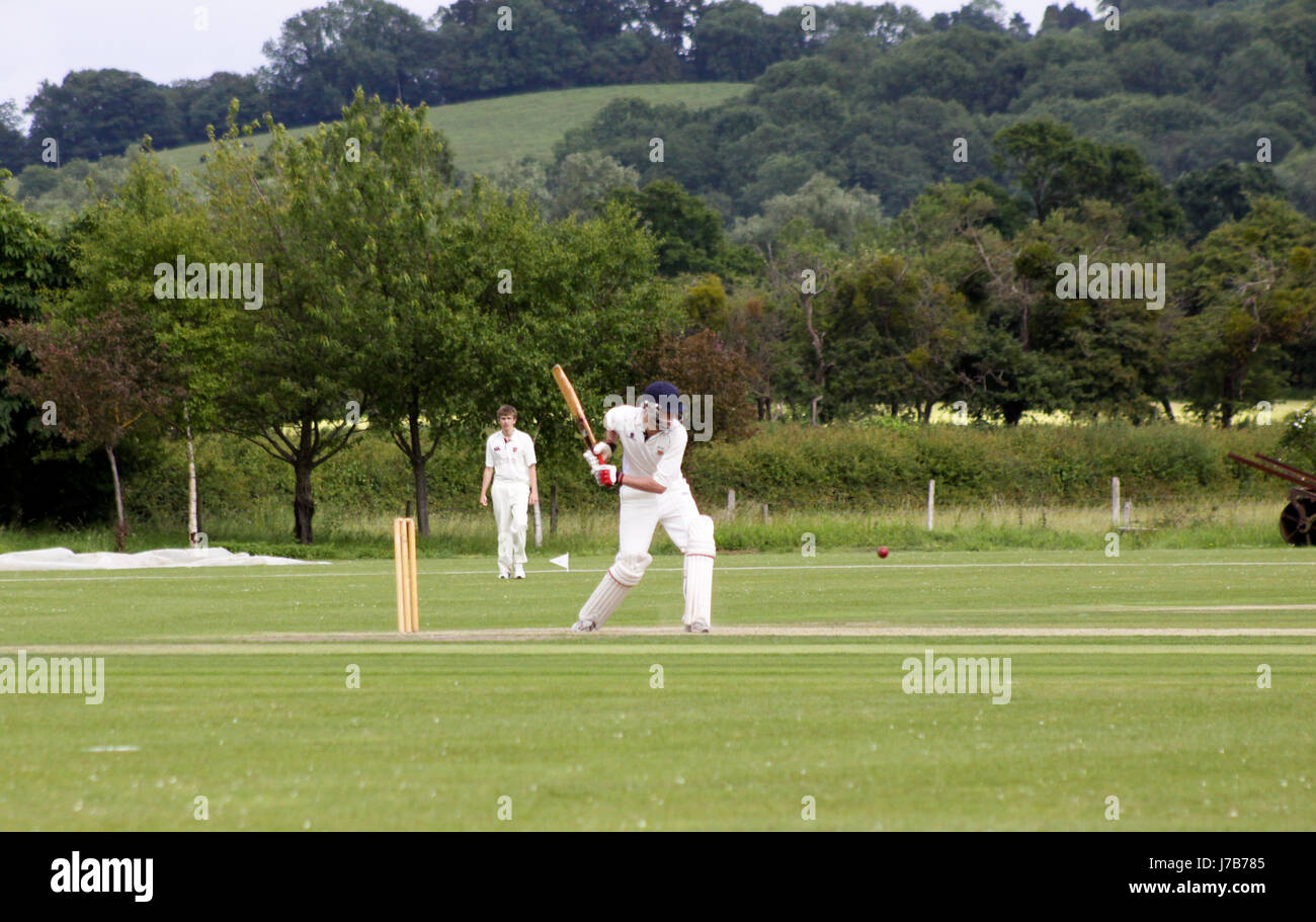 Cricket fielding hi-res stock photography and images - Alamy