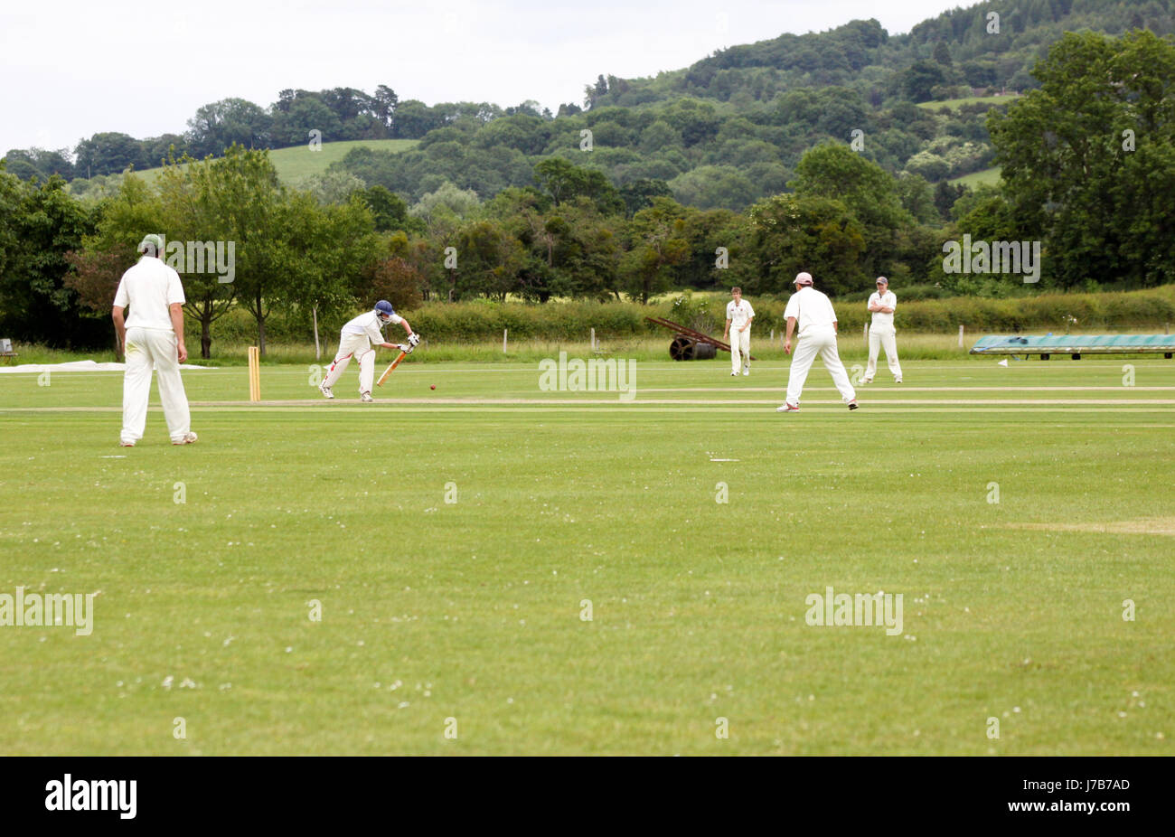 English cricket match Stock Photo - Alamy